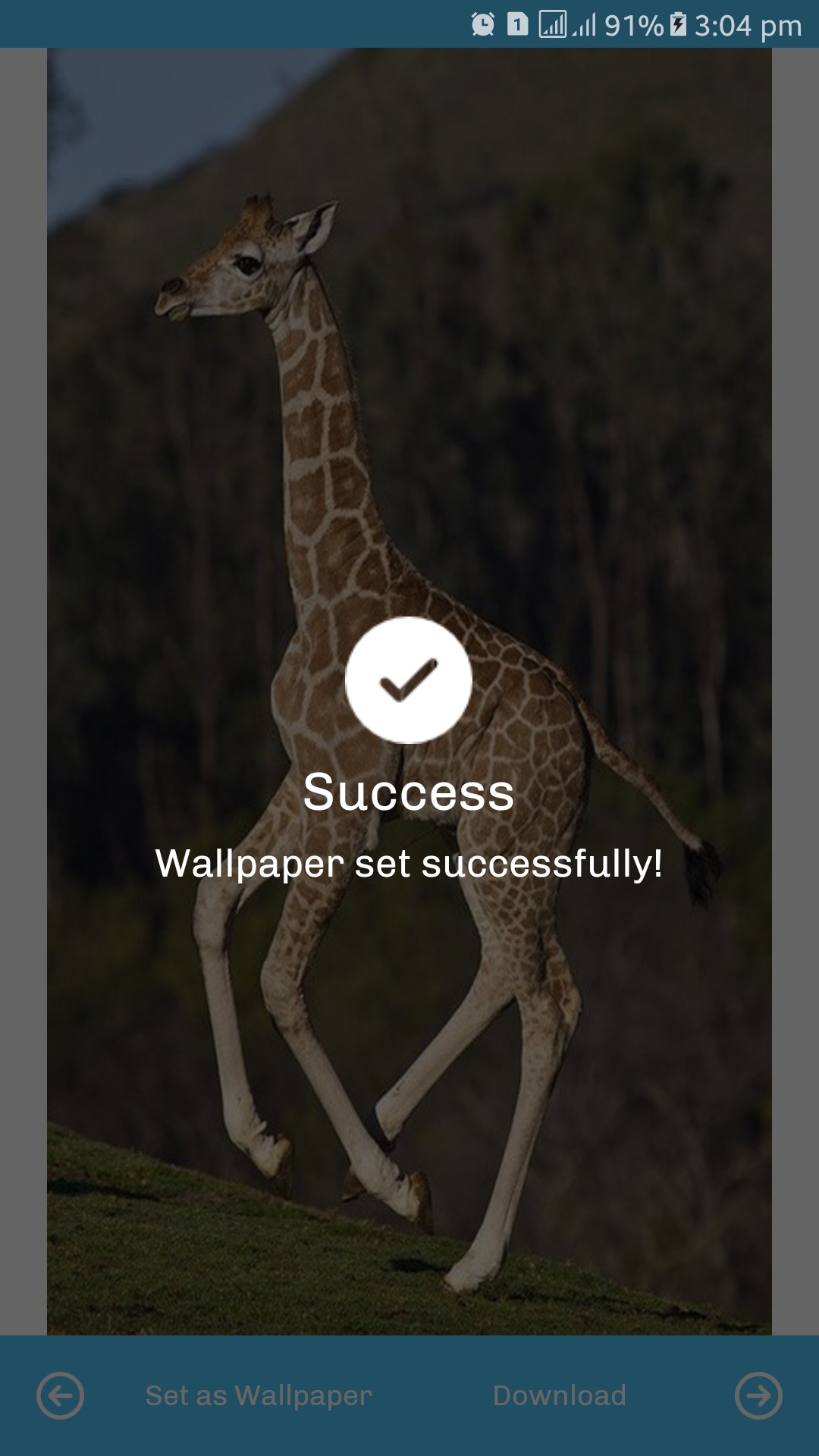 Giraffe Wallpapers - App on Amazon Appstore