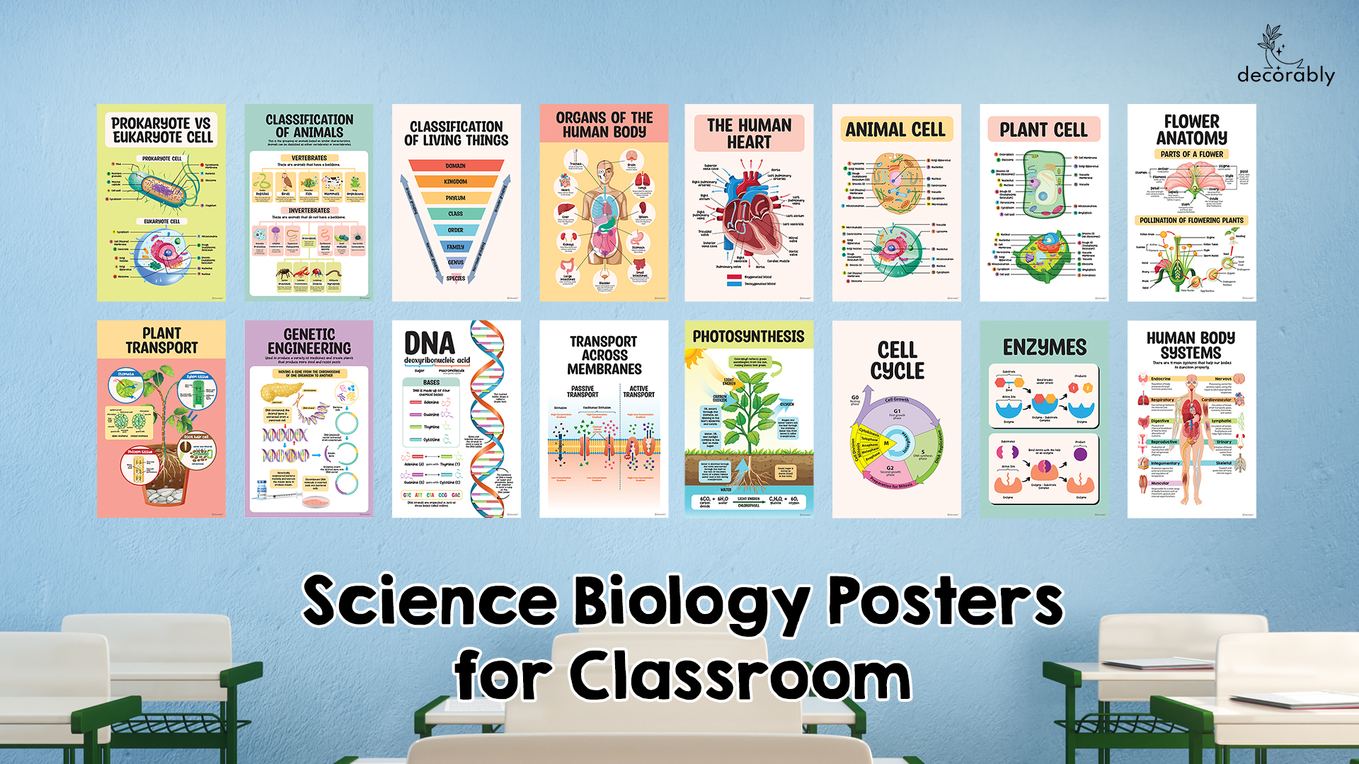 Snapklik.com : 16 Science Posters For Classroom Middle School - 11x17in ...
