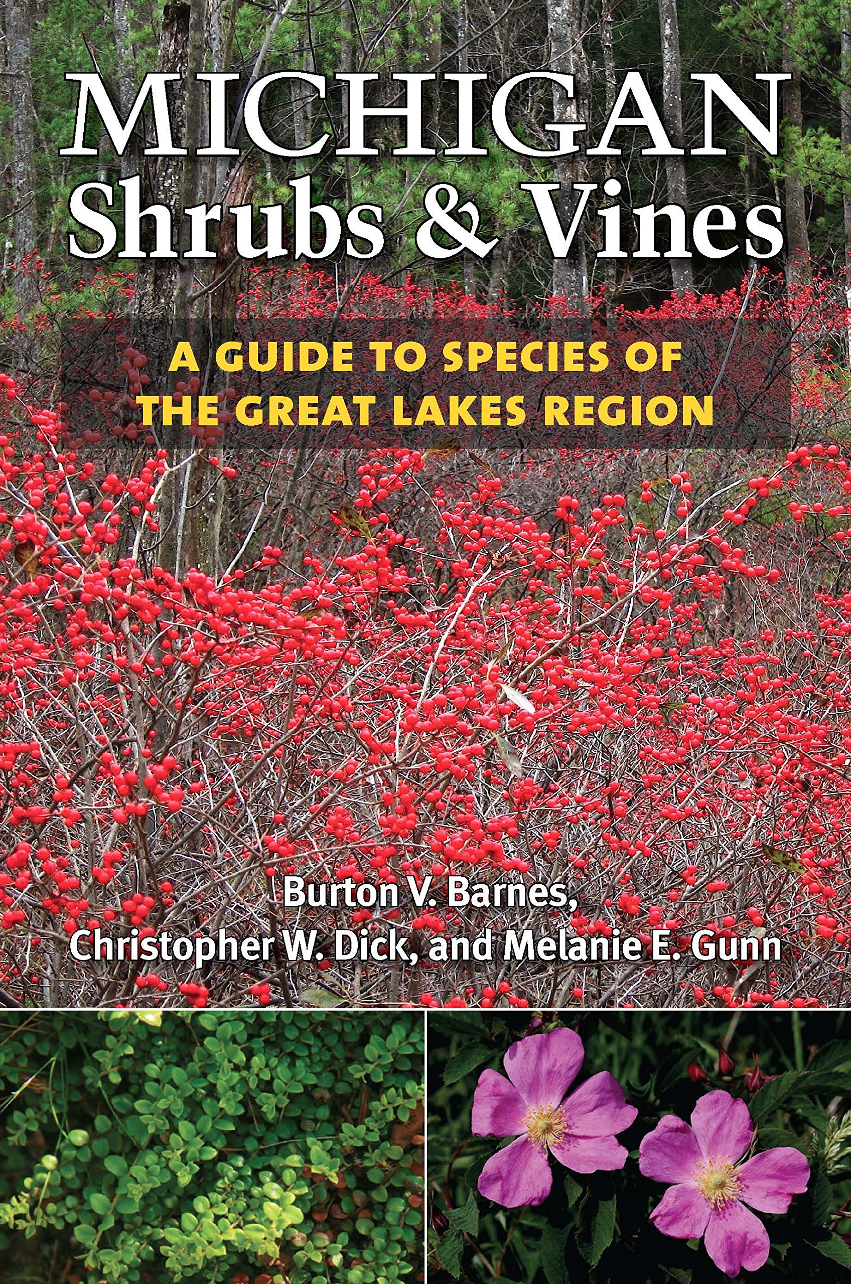 Michigan Trees And Shrubs
