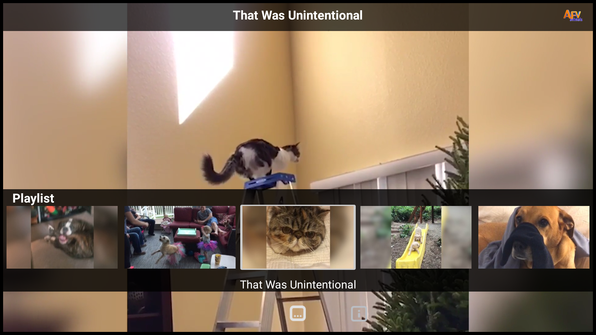 AFV Animals-Animal & Pet Video - App on Amazon Appstore