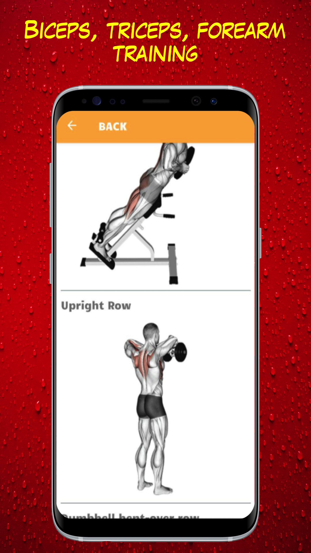 Fitness App, Workout, Bodybuilding, sport, gym, BMI calculator ...