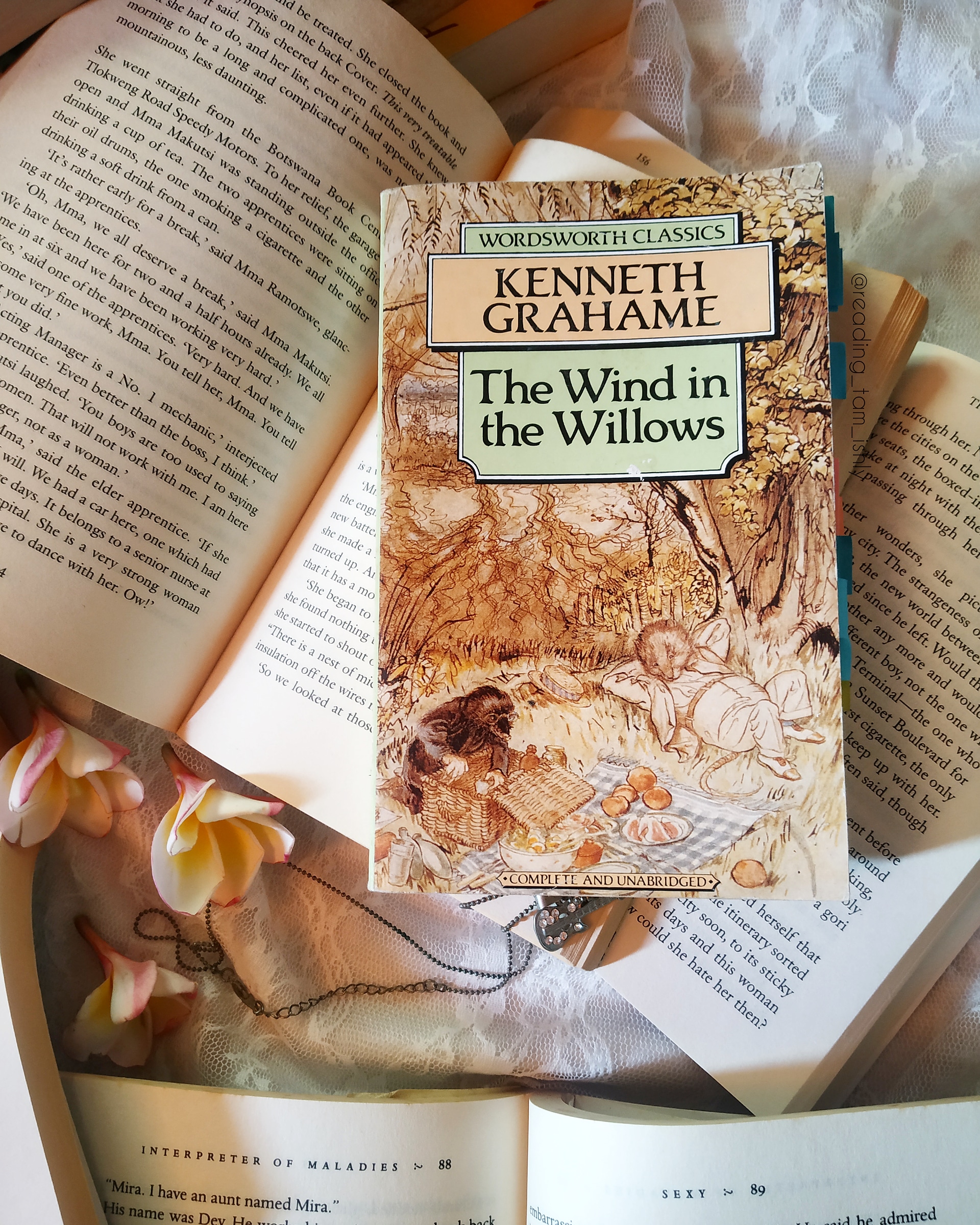 Buy The Wind in the Willows (Wordsworth Exclusive Collection) Book ...