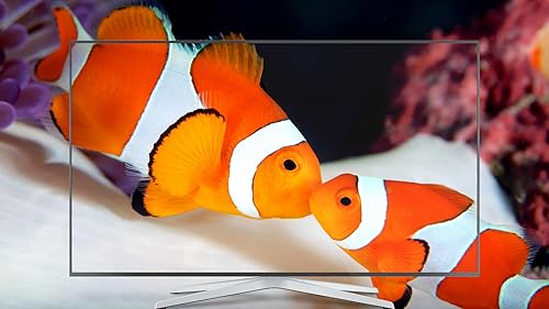 Aquarium Screensaver, Aquarium Deep Sea Odyssey : Ultra HD Aquarium ...