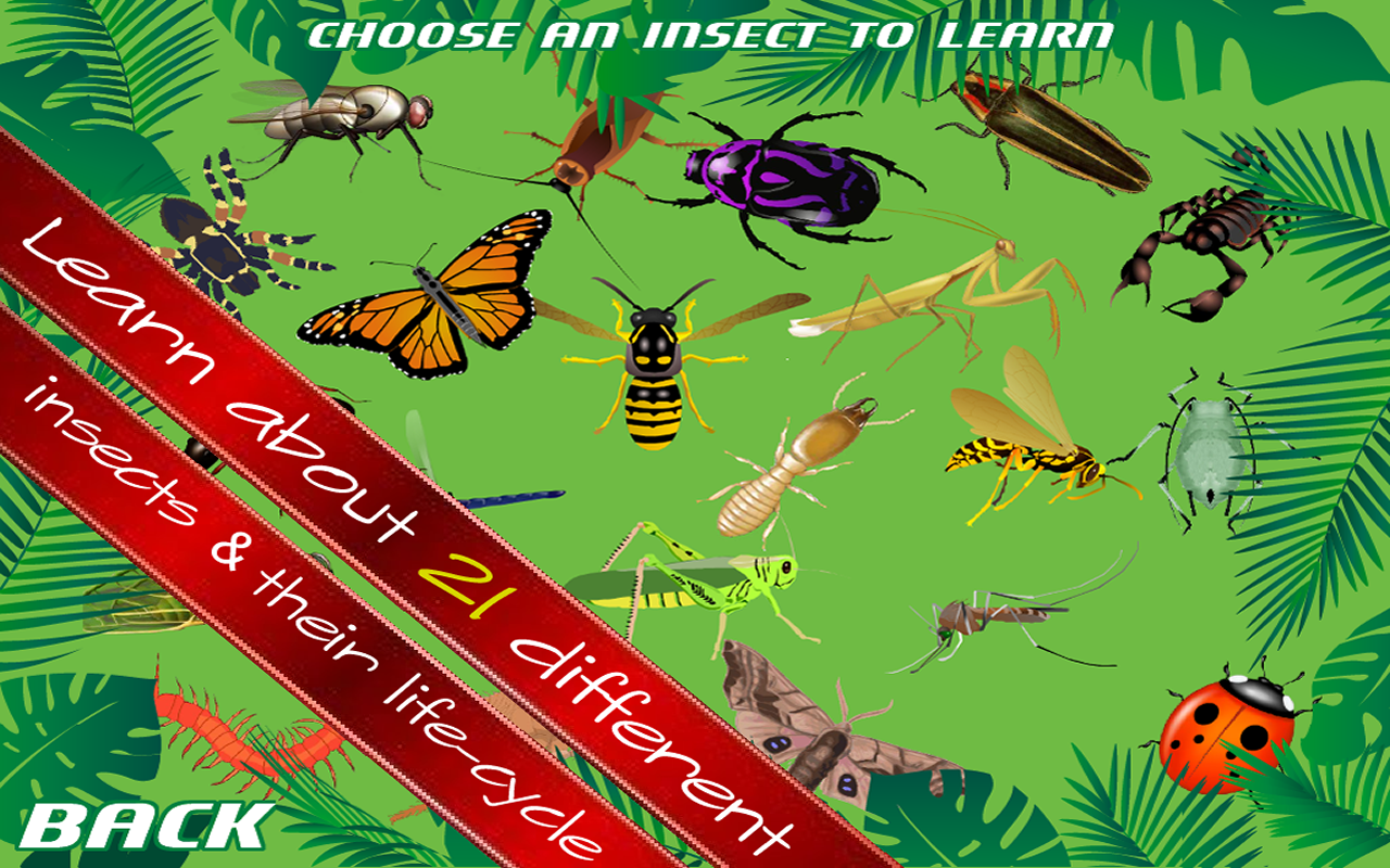 Insect Slice N Learn Free - App on Amazon Appstore