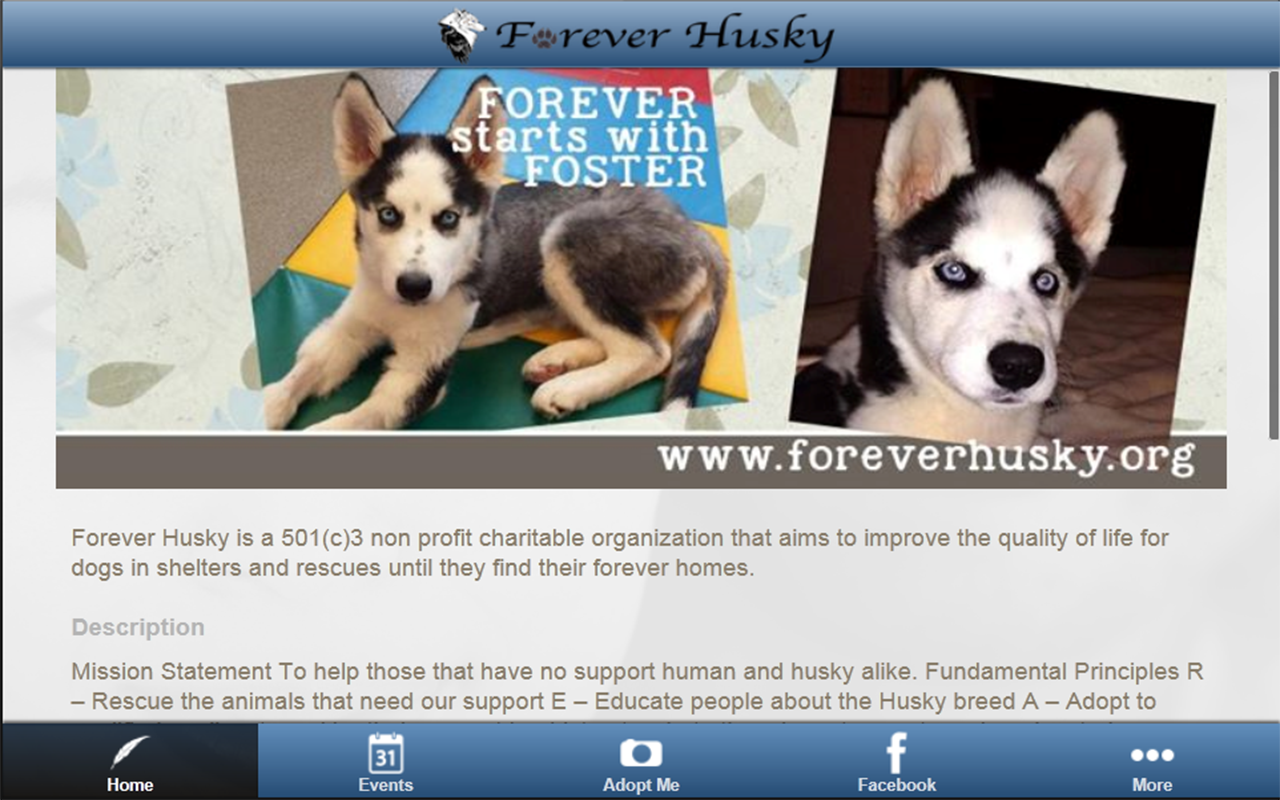 Forever Husky - App on Amazon Appstore