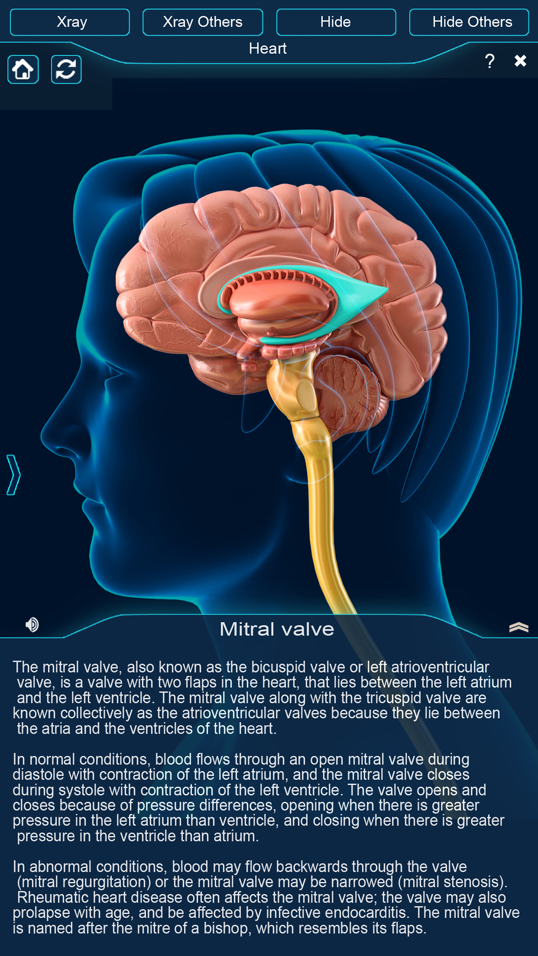 Brain Anatomy Pro. - App on Amazon Appstore