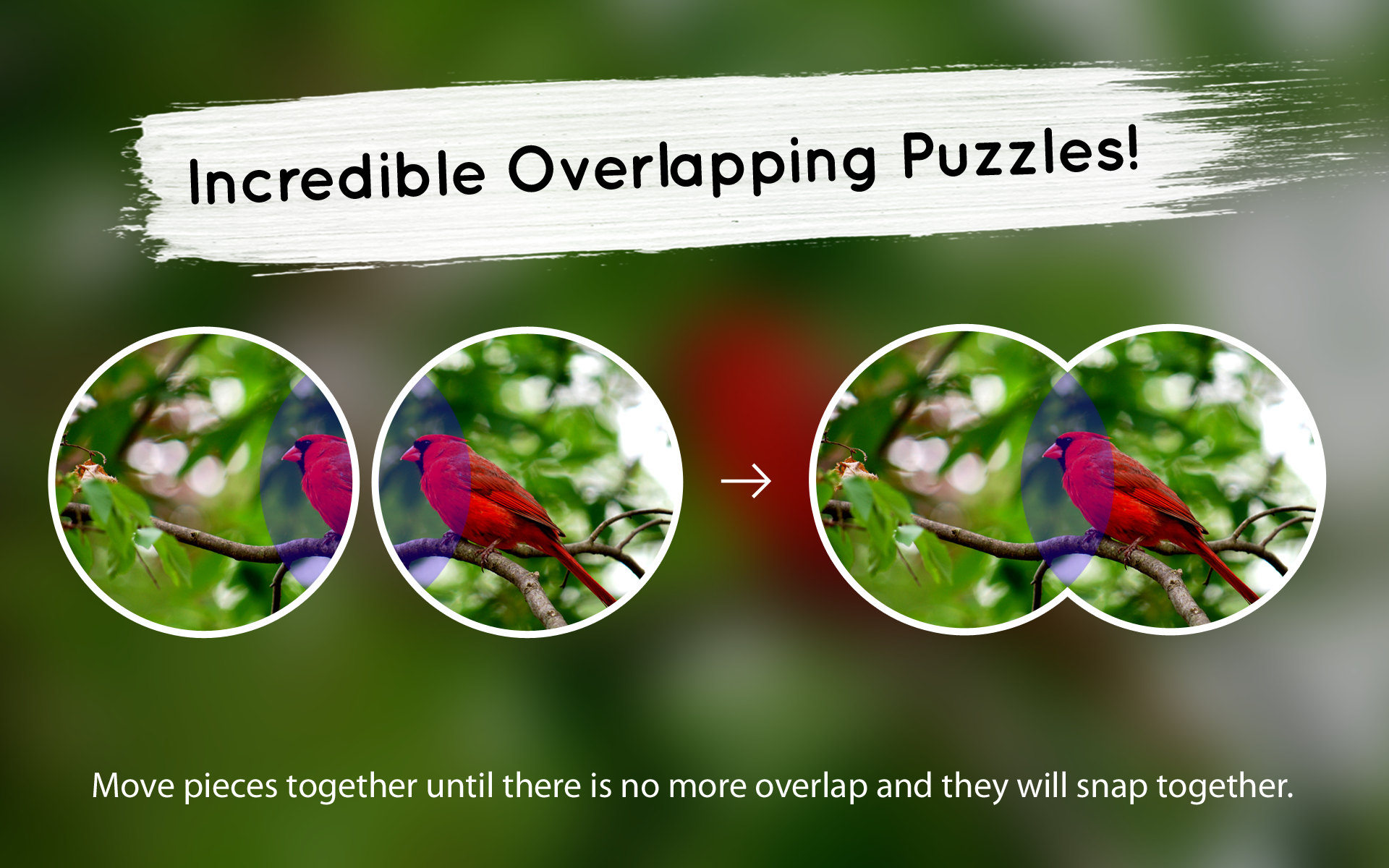 Venn Birds: Overlapping Jigsaw Puzzles - App on Amazon Appstore