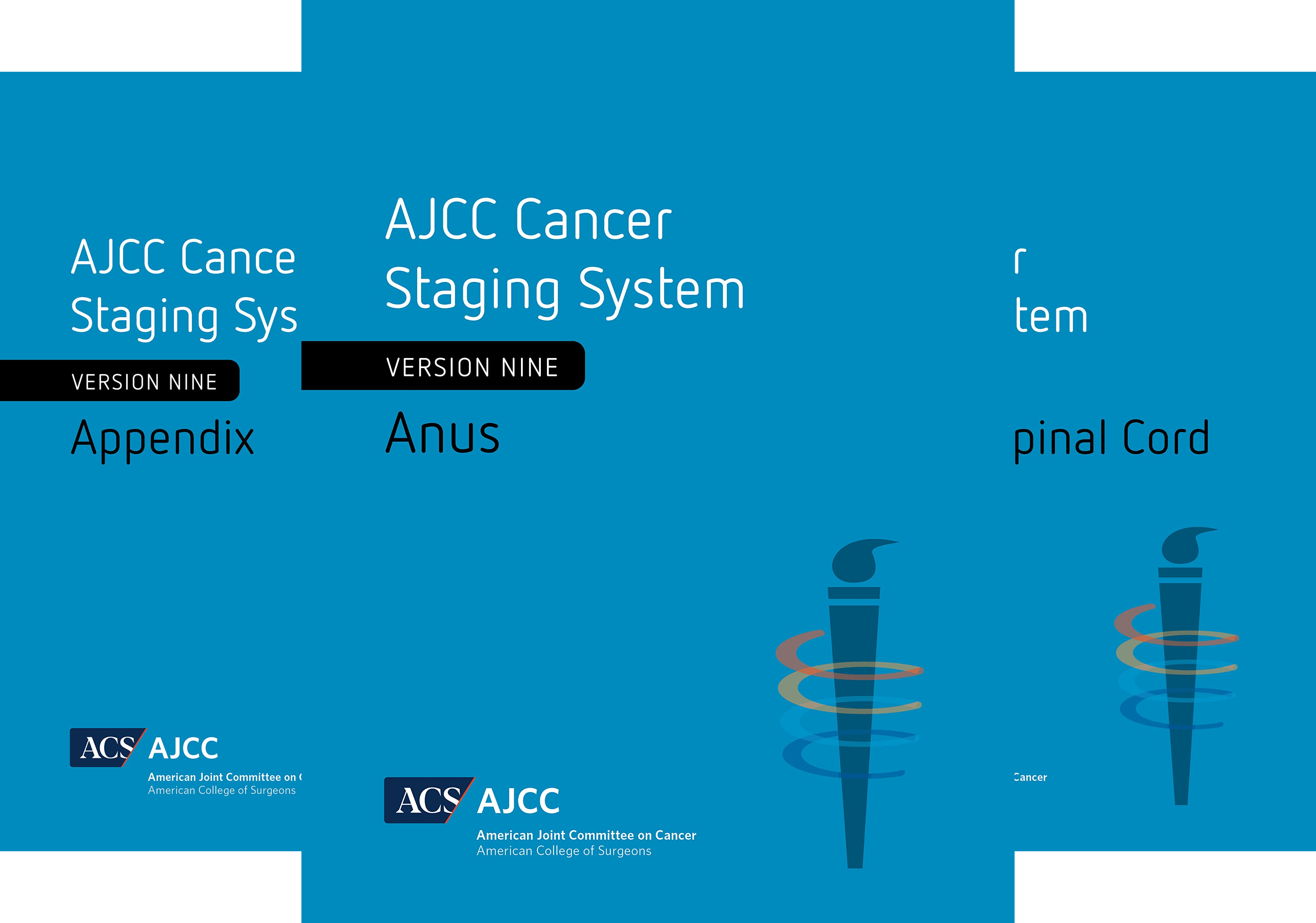 Amazon.co.jp: AJCC Cancer Staging System: Diffuse Pleural Mesothelioma (Version 9 of the AJCC ...
