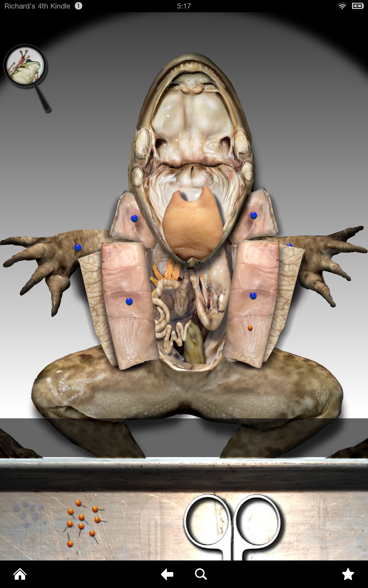 Froguts Frog Dissection (Kindle Fire HDX Tablet Edition) - App on ...