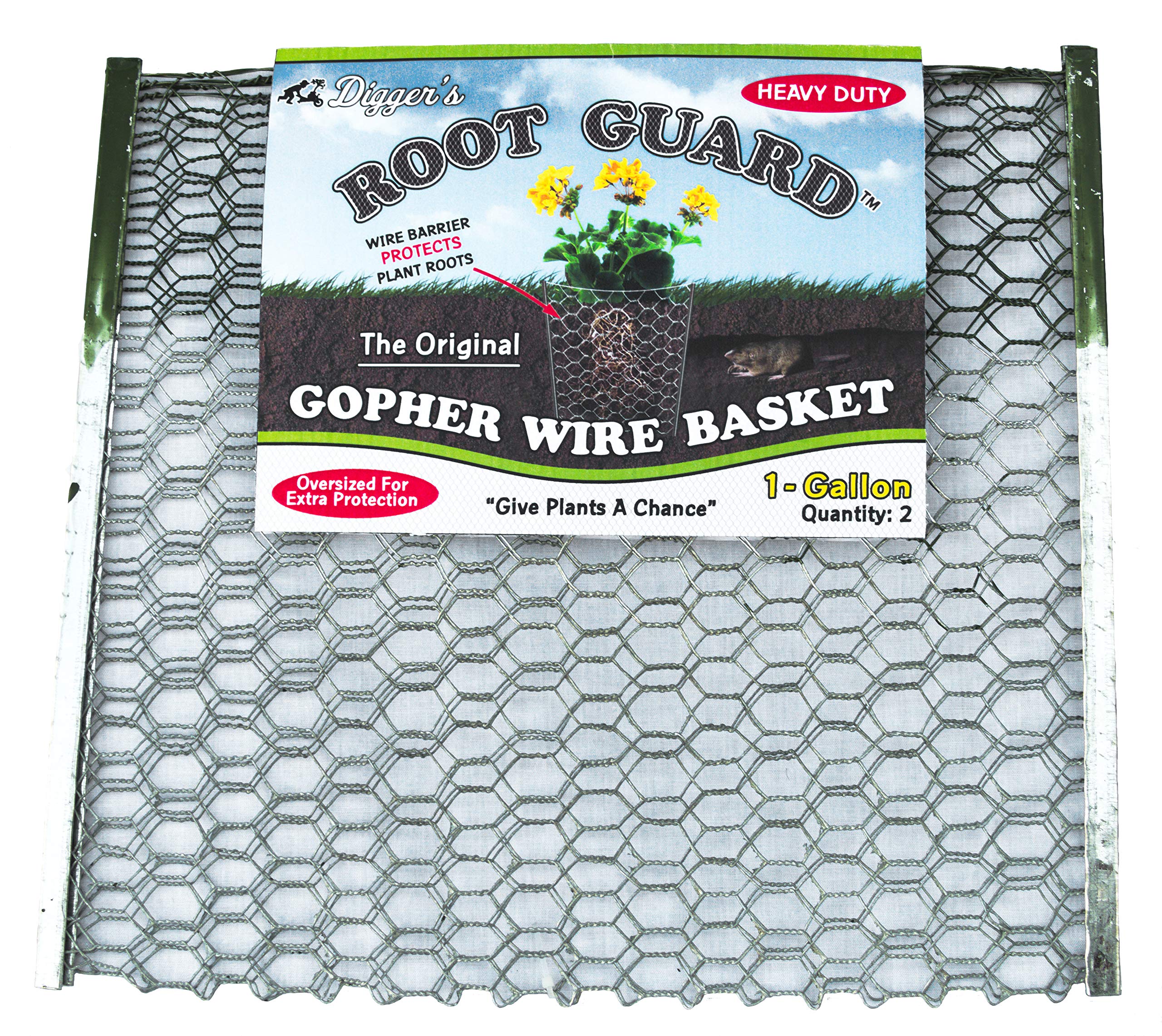 Amazon.com: The Original RootGuardTM Heavy Duty Gopher Wire Baskets (12 ...