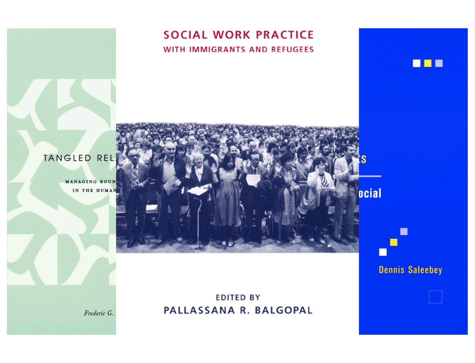 Amazon.co.jp: Social Work Values and Ethics (Foundations of Social Work ...