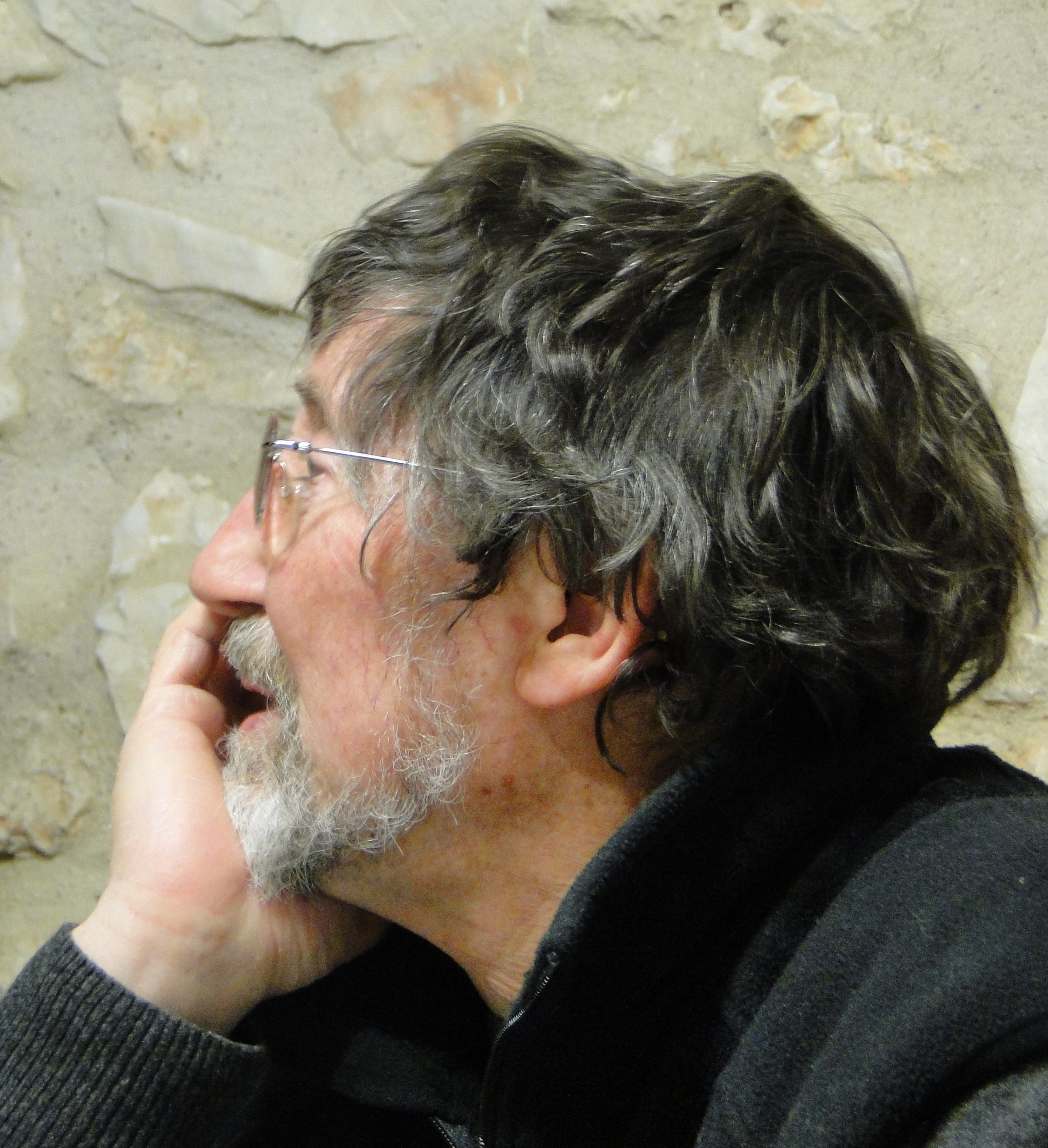 Amazon.fr: serge devic arroyo: books, biography, latest update