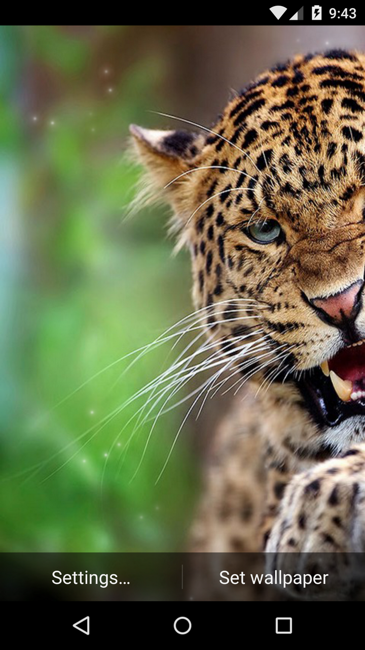 Animated Leopard Wallpaper