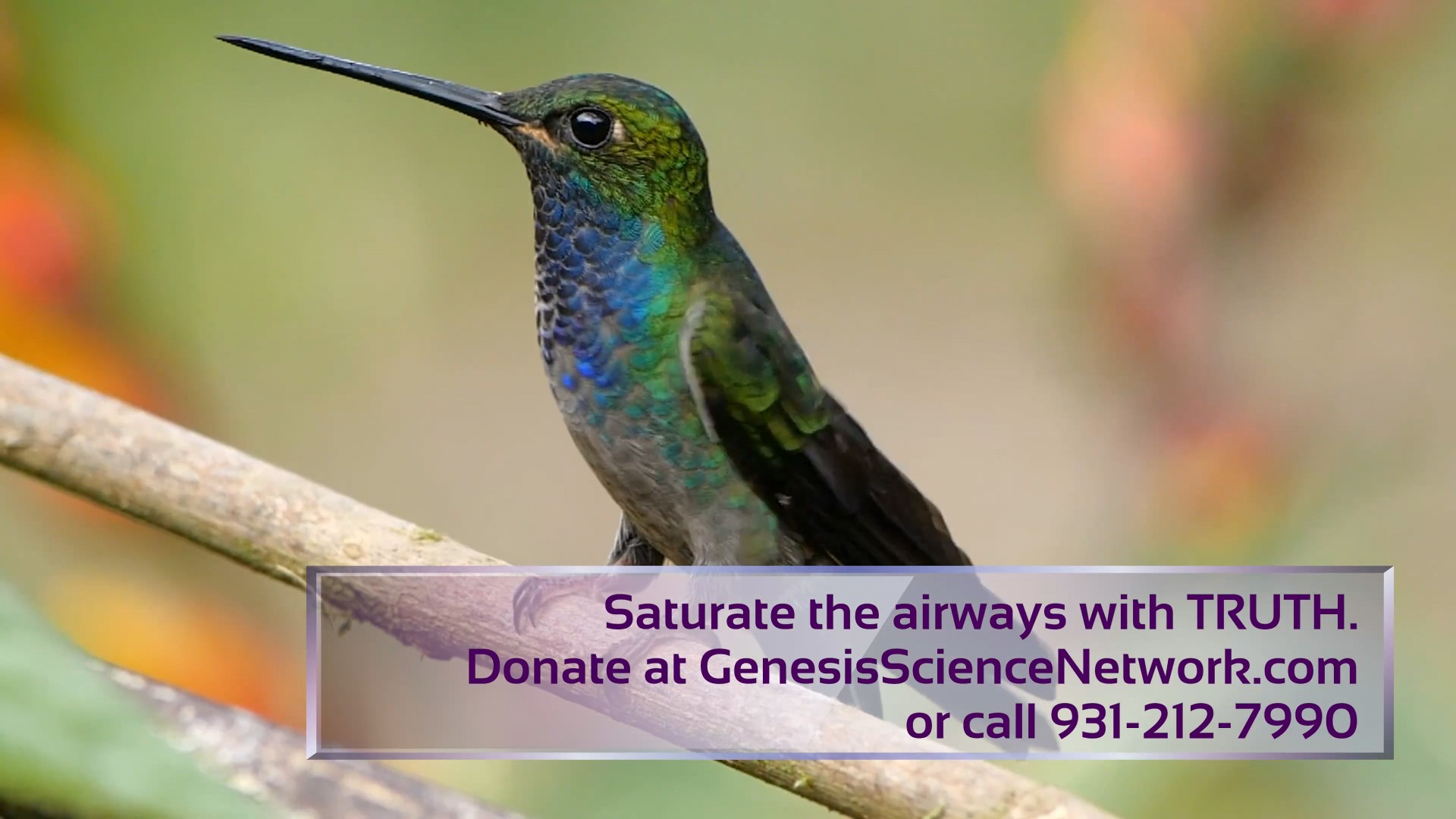 Genesis Science Network - App on Amazon Appstore