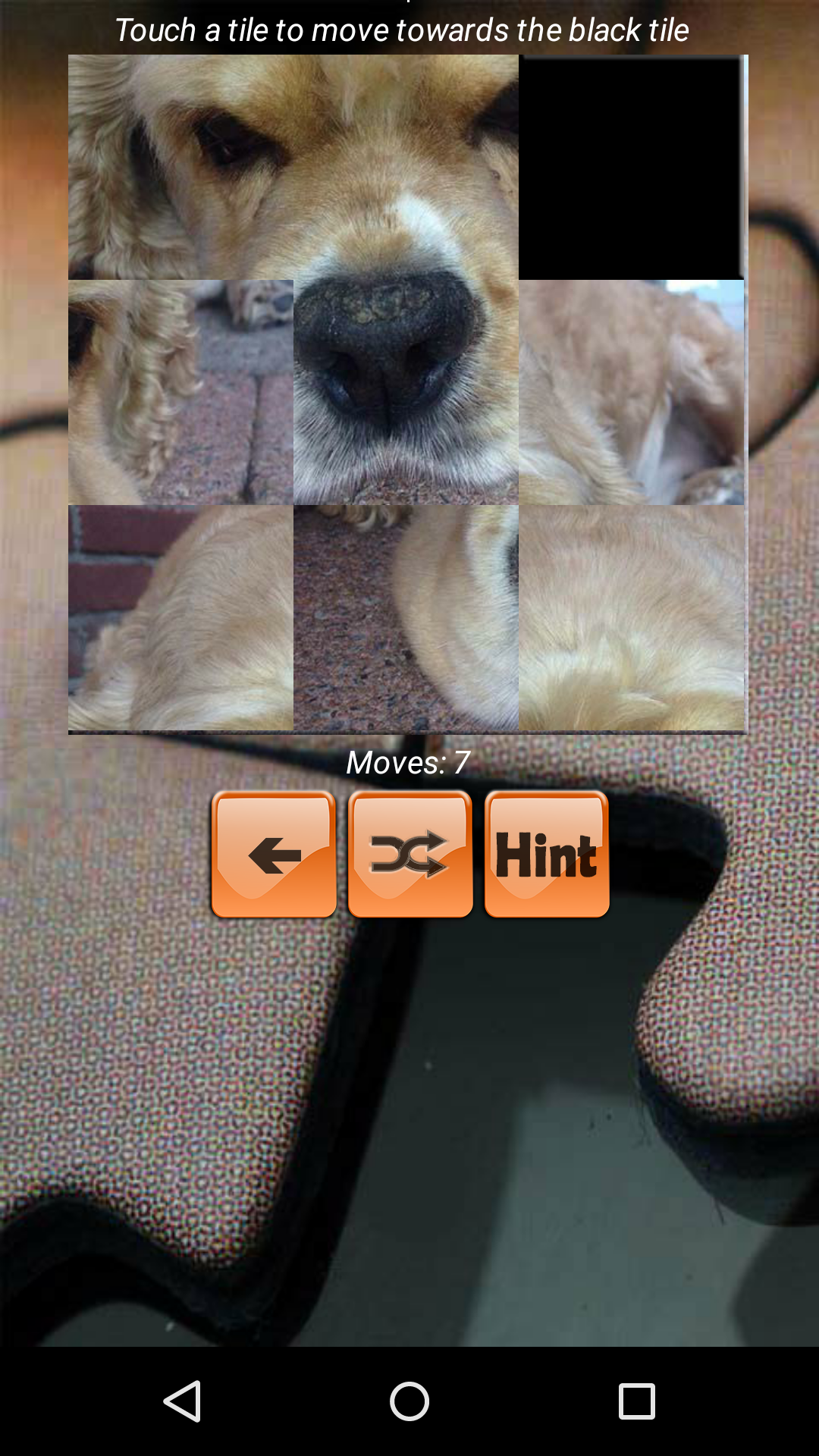 Animal slide puzzle - App on Amazon Appstore