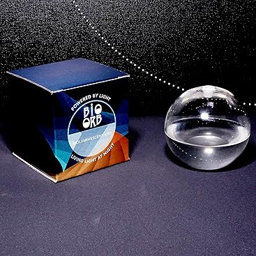 The Living Bioluminescent Bio-Orb - a Living Glass Sphere Powered by ...