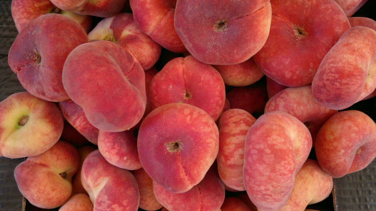 Full Screen Pic Picture Viewer PRO - App on Amazon Appstore