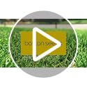 Boston Seeds Fast Growing Grass Seed - Hard Wearing Grass Seeds in ...