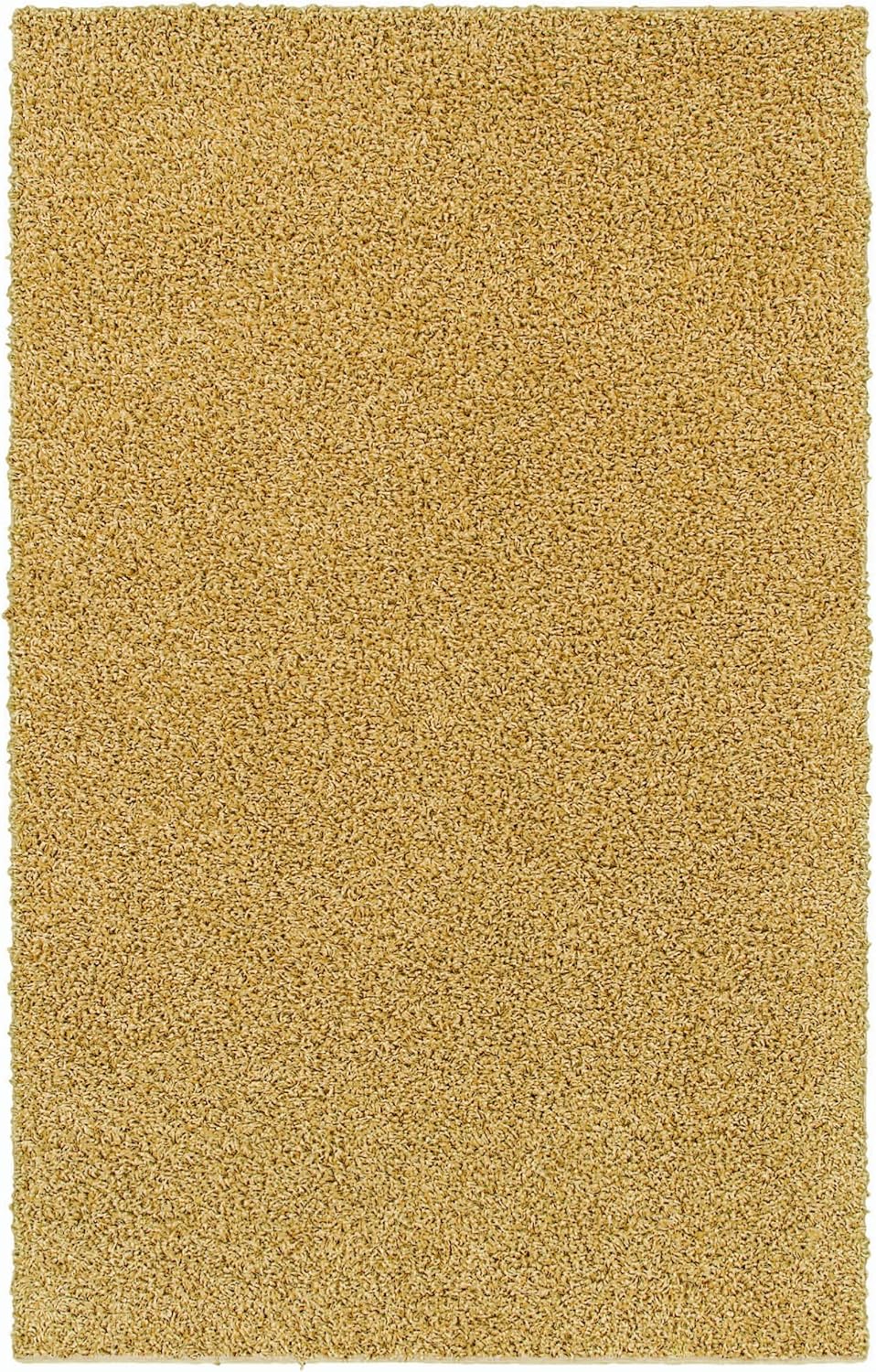 Amazon.com: Shaw Rugs Affinity II Shag Rug, 5-Feet by 8-Feet, Goldenrod ...