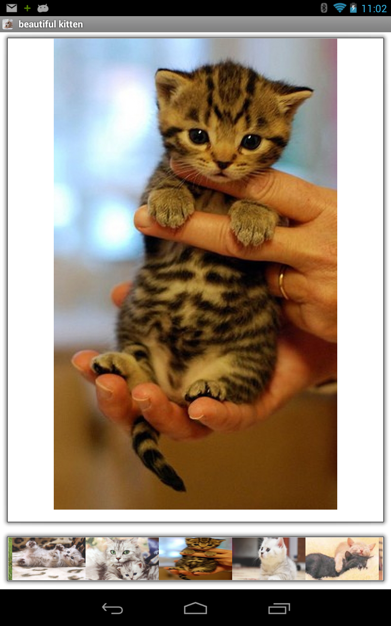 Beautiful Kitten - App on Amazon Appstore