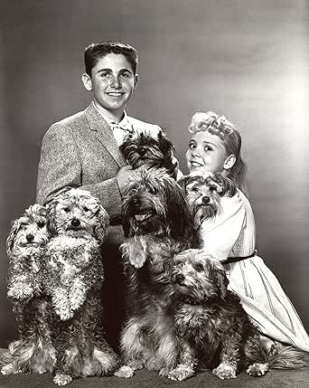 Blondie Stuffy Singer Ann Barnes 8x10 Photo #T3413 at Amazon's ...