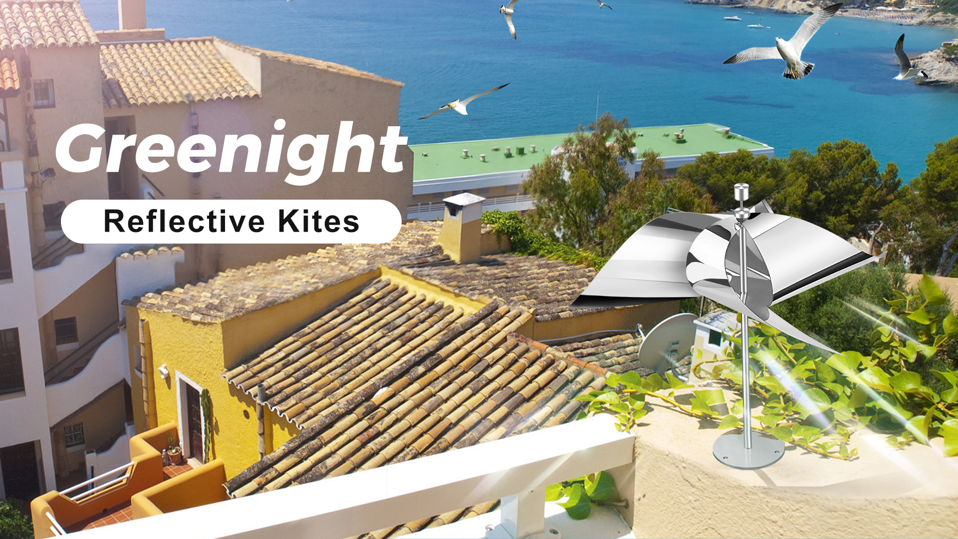 Watch Greenight Reflective Kites on Amazon Live