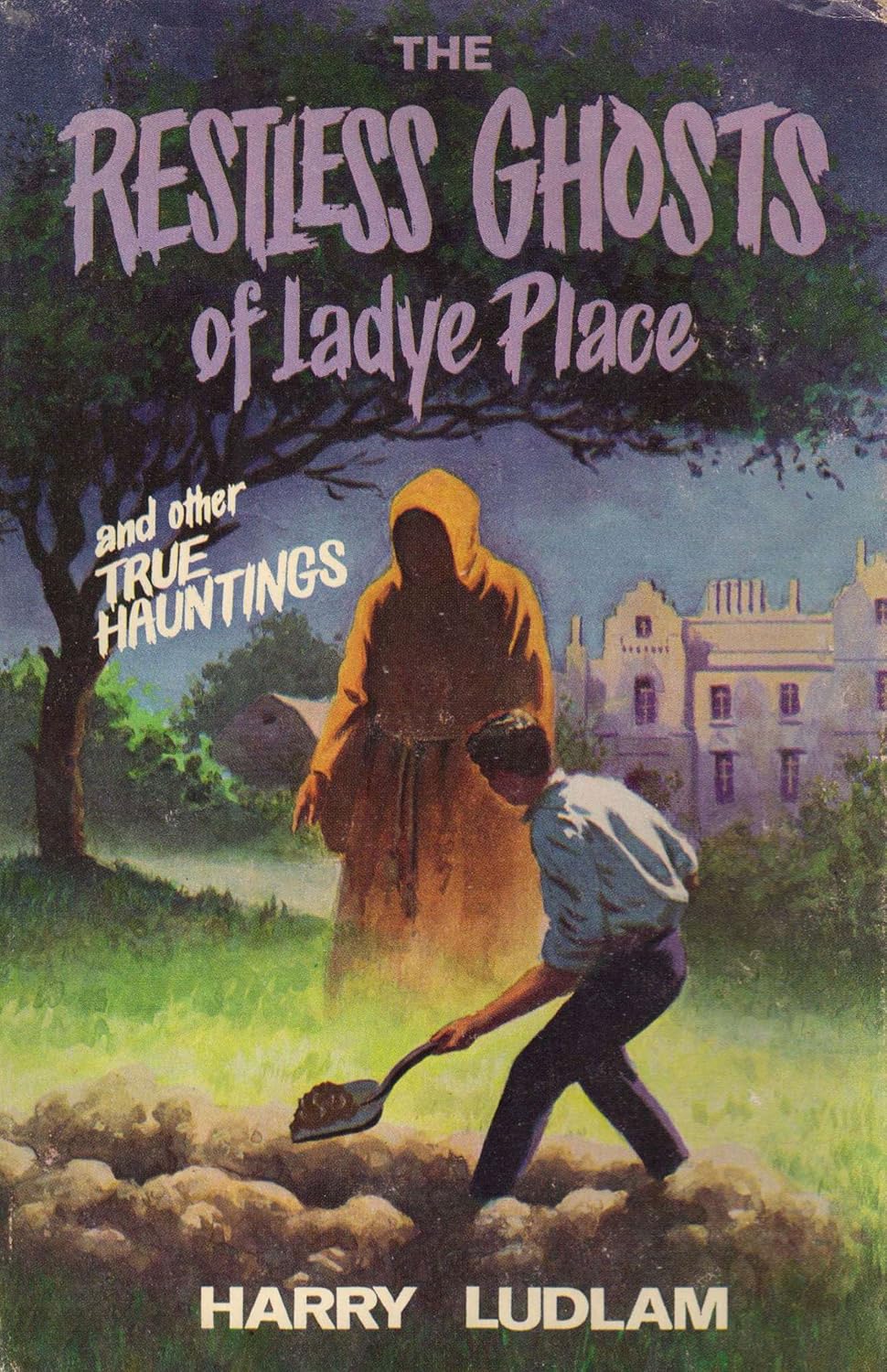 The Restless Ghosts of Ladye Place - Kindle edition by Harry Ludlam ...