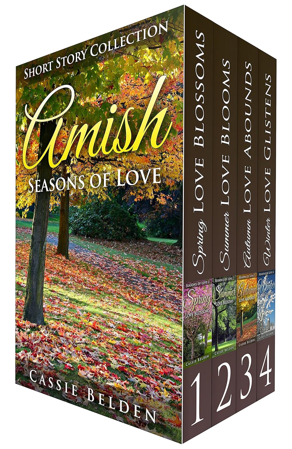 Amazon.com: Amish Seasons of Love BOXED SET Books 1-4: Amish Romance ...