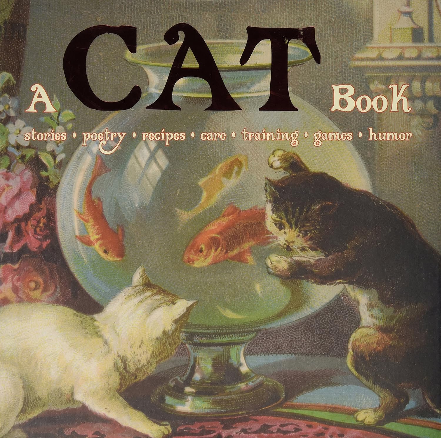 A Cat Book: Timothy Shaner: Amazon.com: Books