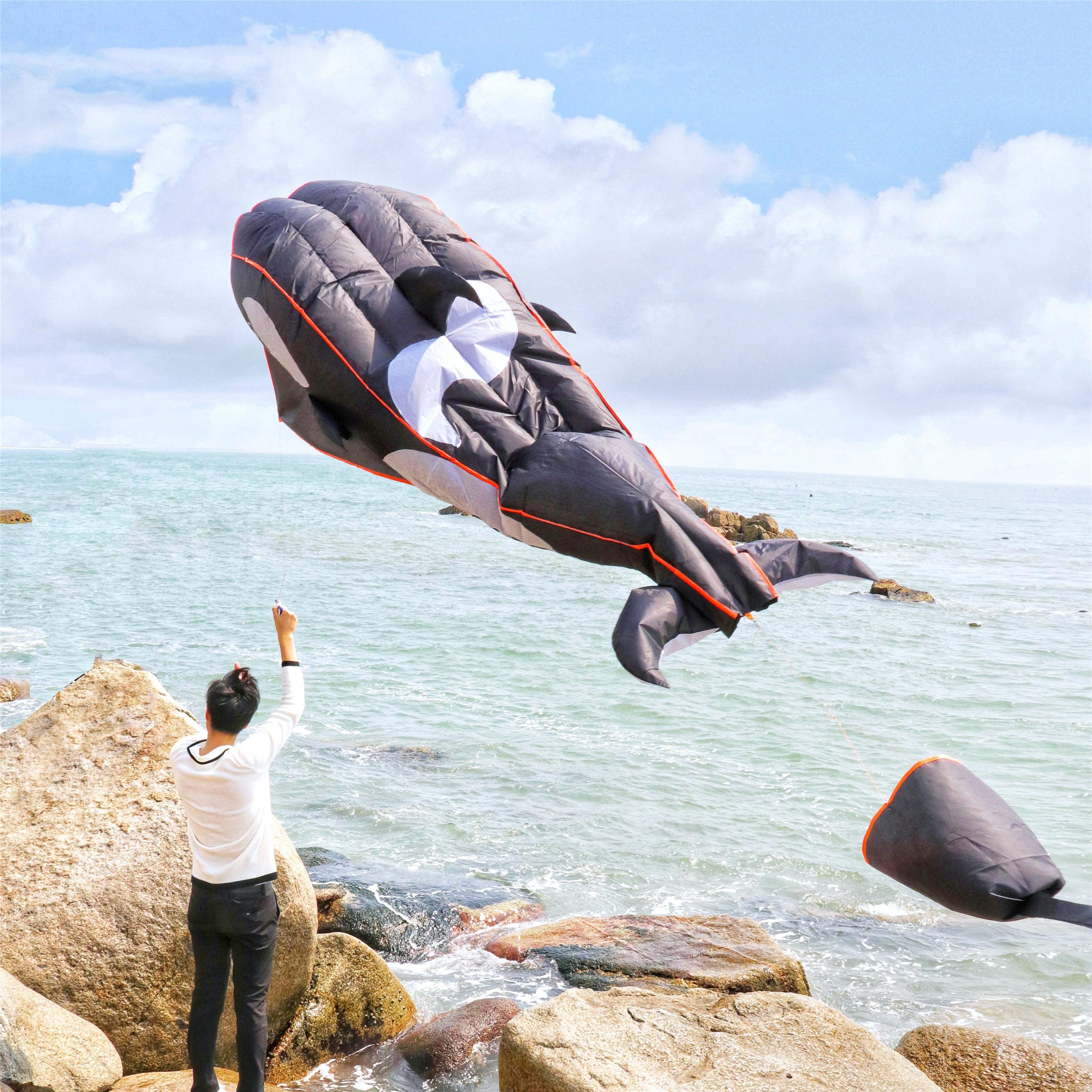 Snapklik.com : Kizh Kite Giant 3D Dolphin Frameless Soft Parafoil Kites ...