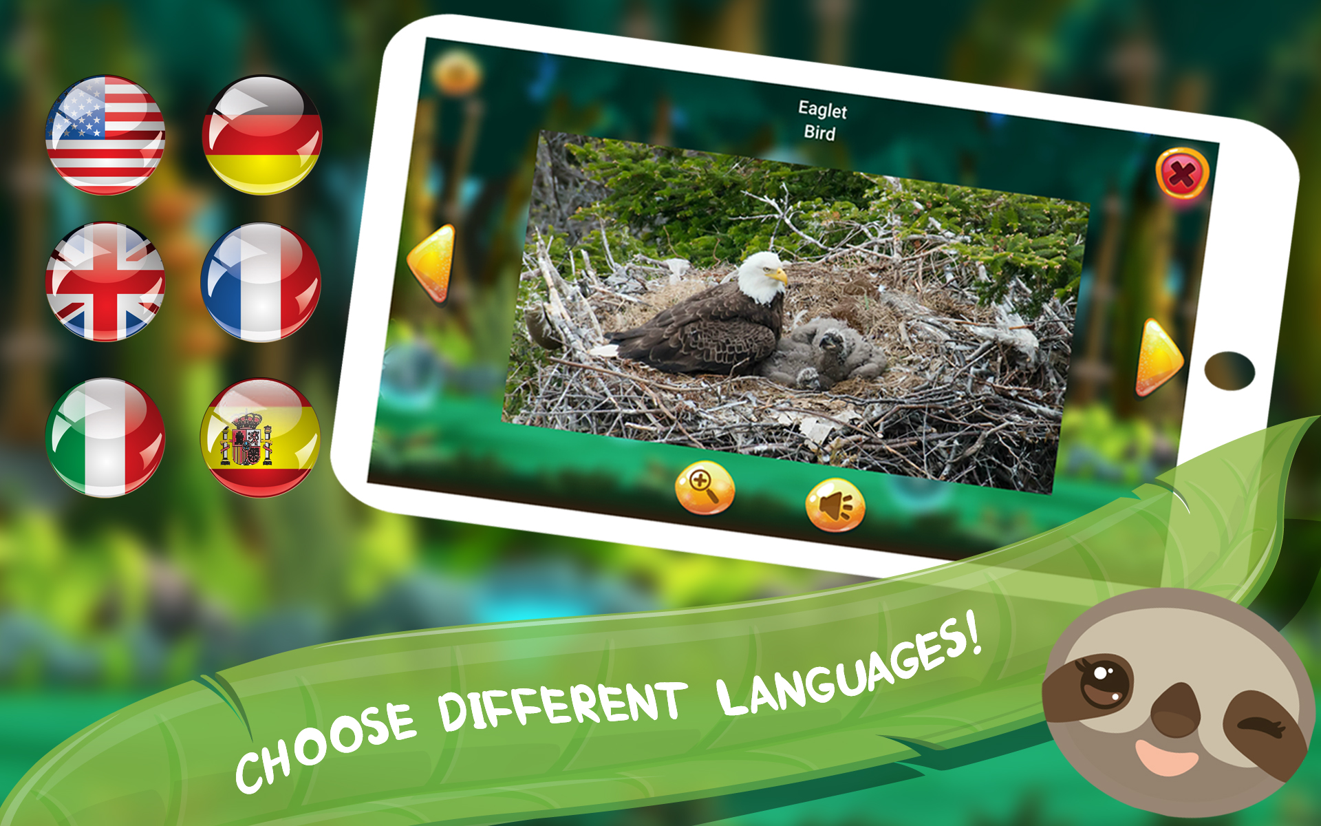 Baby Forest - Animal Sounds and Pictures - App on Amazon Appstore