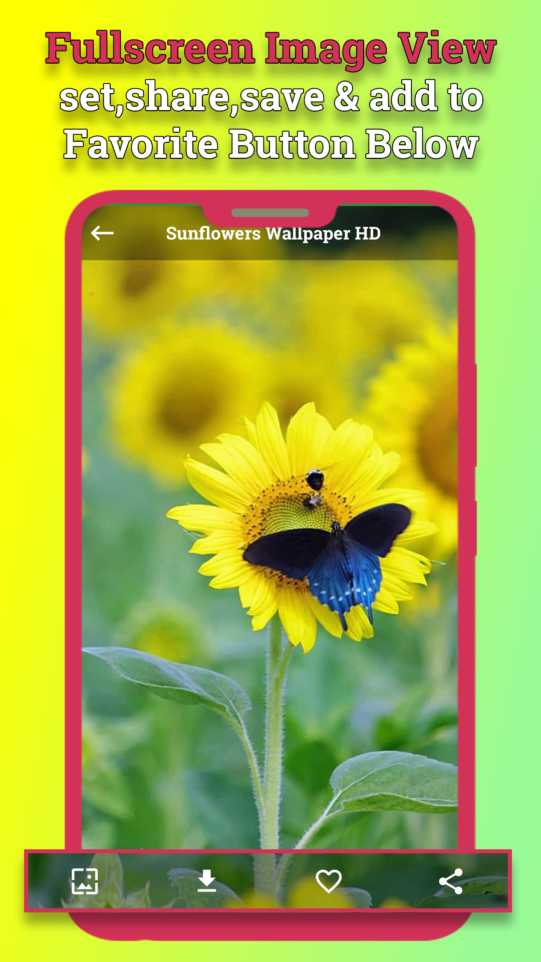 Sunflowers Wallpaper HD - App on Amazon Appstore