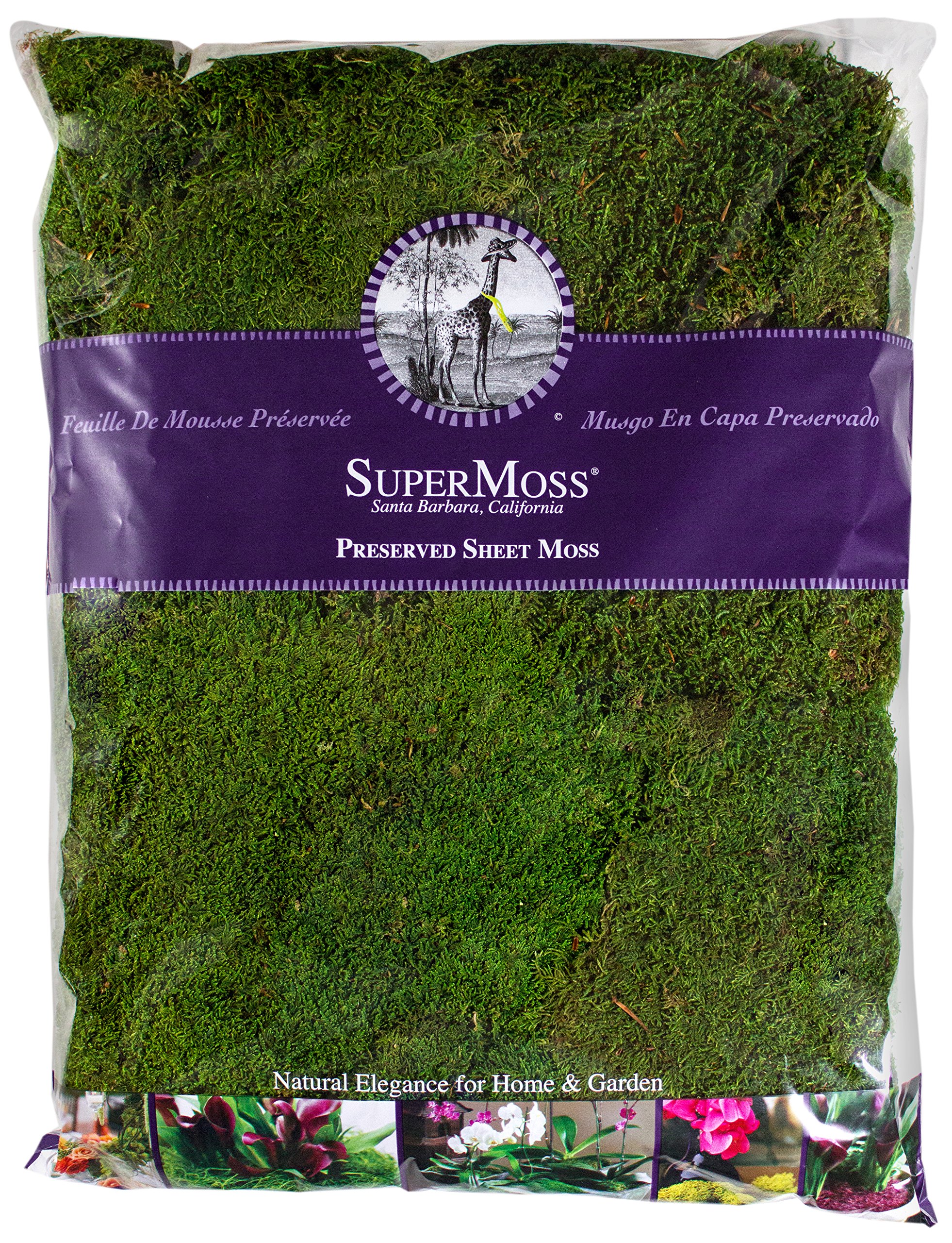 Amazon.com: Super Moss 21585 Preserved Sheet Moss, Fresh Green, 32 ...