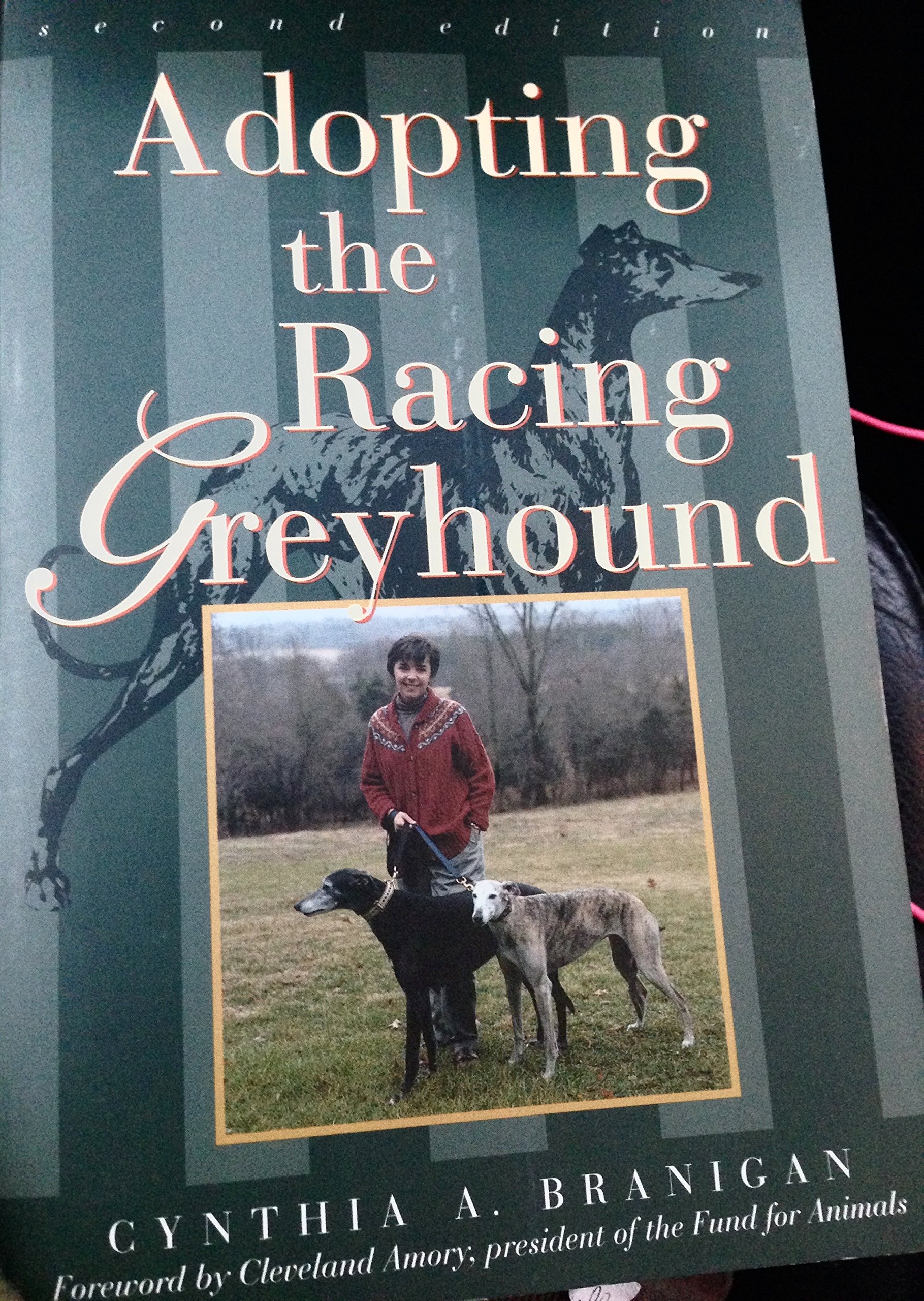 Amazon | Adopting the Racing Greyhound (Howell reference books ...