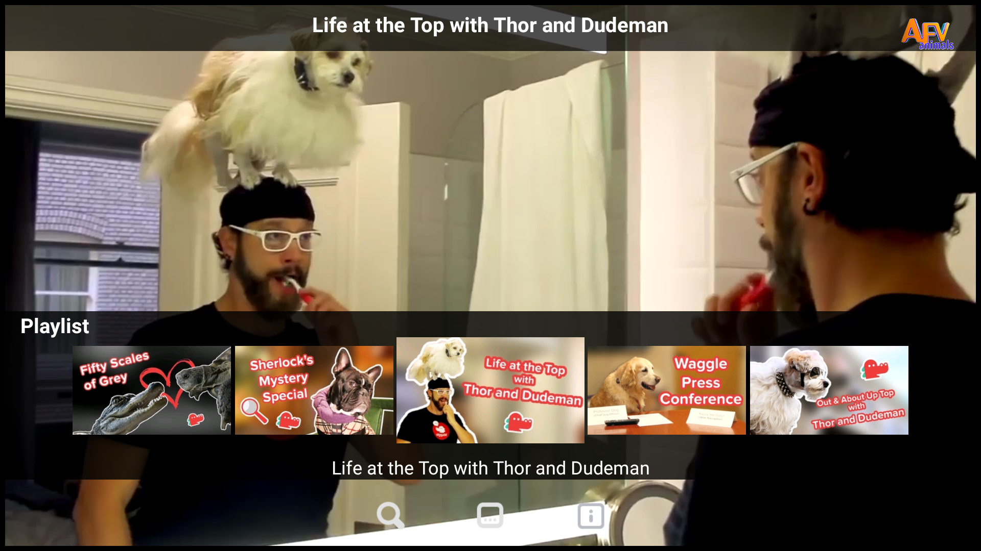 AFV Animals-Animal & Pet Video:Amazon.com:Appstore for Android