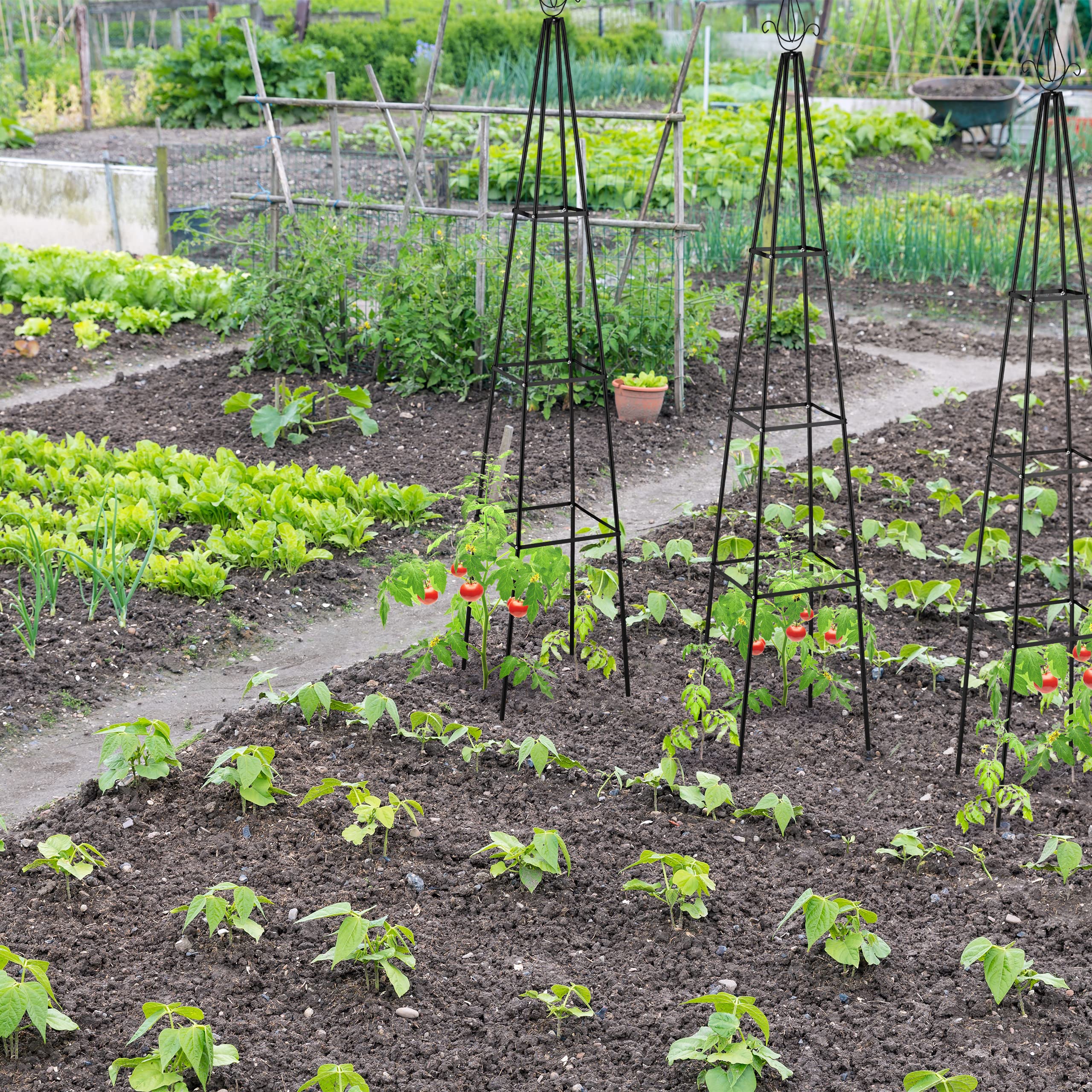 Pyramid Garden Trellis Gymax 81'' Garden Obelisk Trellis For Climbing