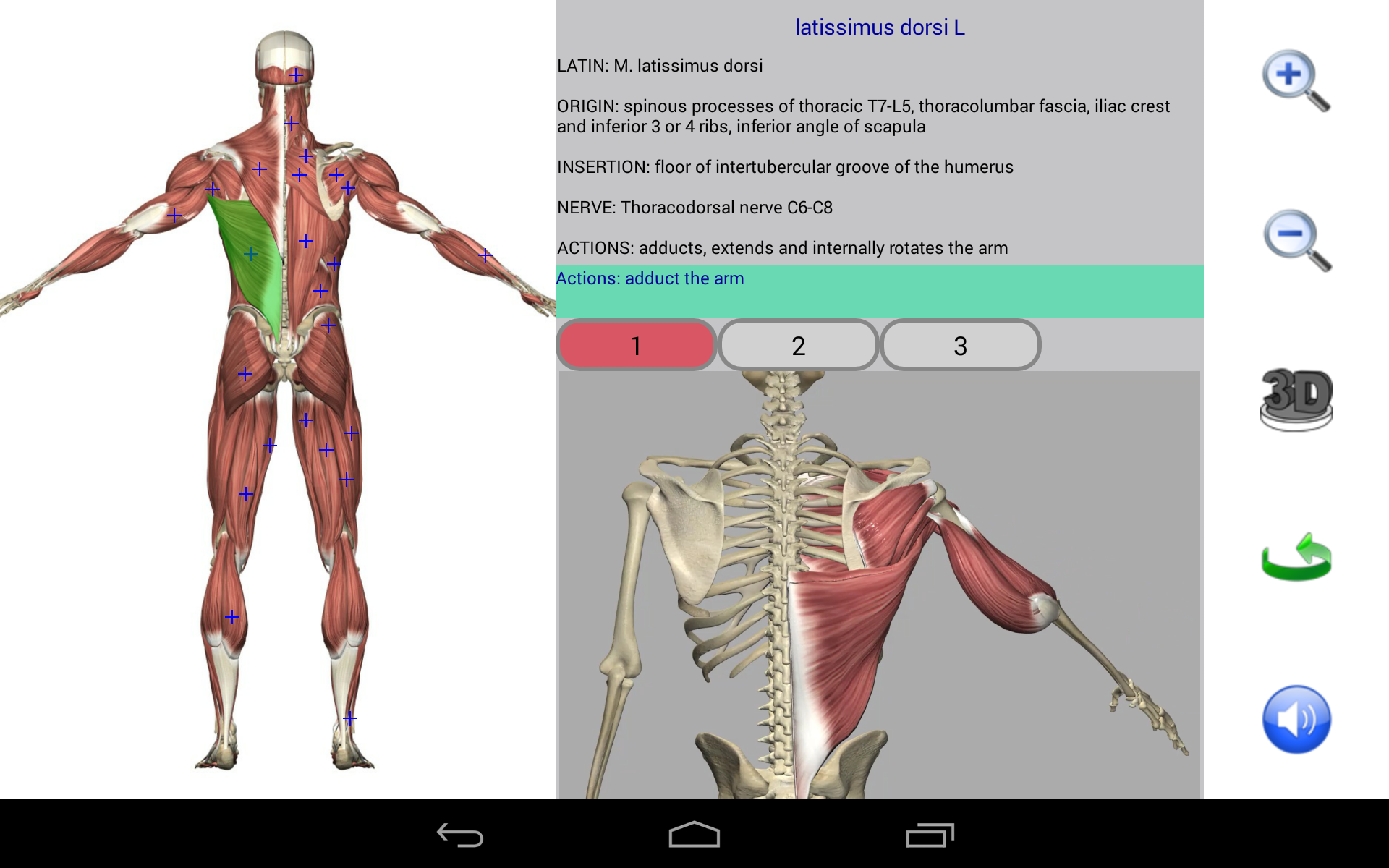 Visual Anatomy - App on the Amazon Appstore