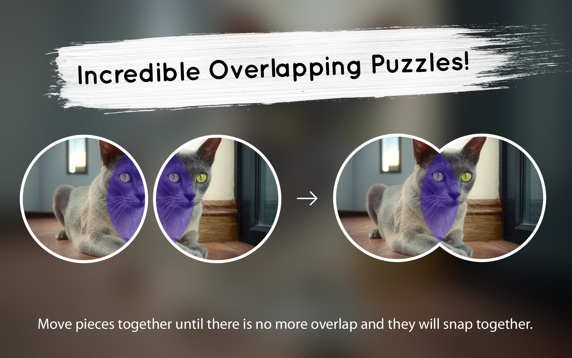 Venn Cats: Overlapping Jigsaw Puzzles - App on the Amazon Appstore