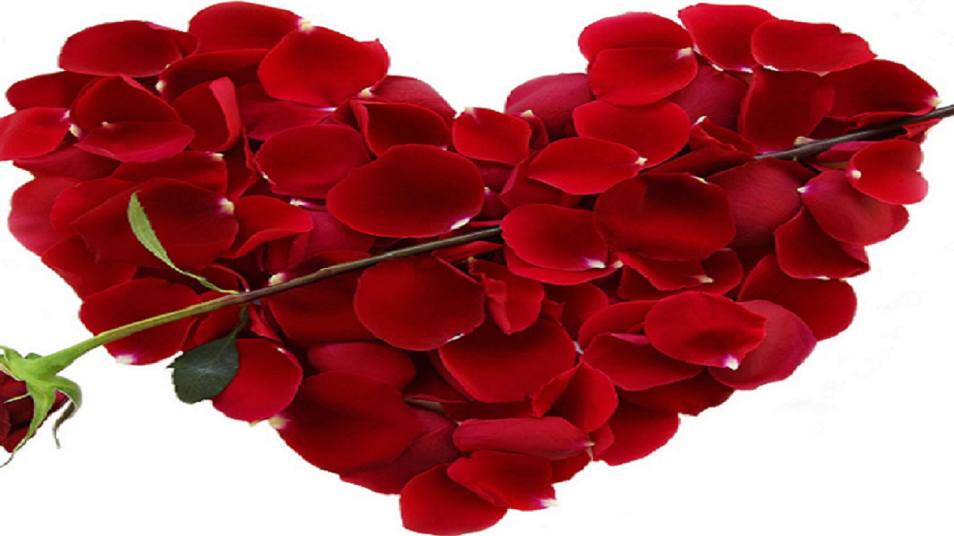 Valentines Day Poem Gifts For Her Amazon Appstore For Android Valentines Day Poem Gifts For Her Amazon Appstore For Android