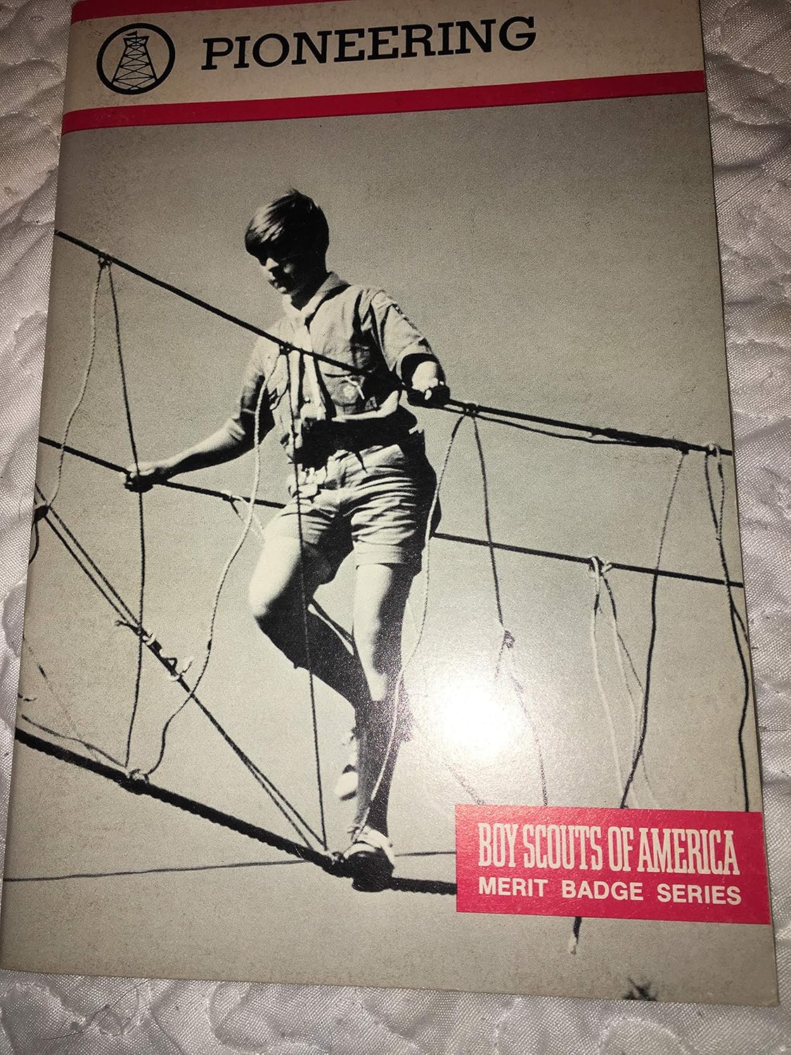 Pioneering Boy Scout Merit Badge Series (no. 3382): Amazon.com: Books