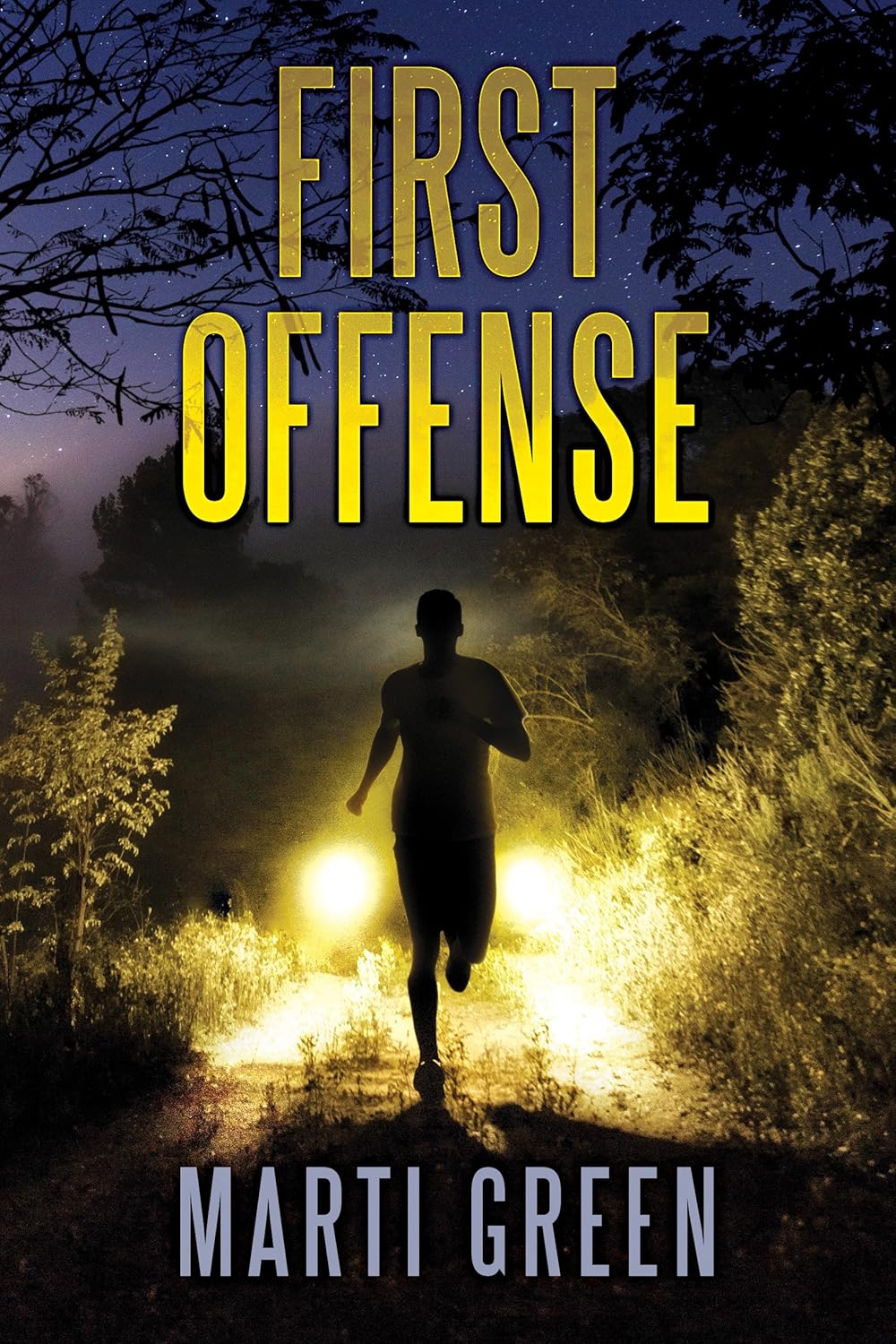 Amazon.com: First Offense (Innocent Prisoners Project) eBook : Green ...