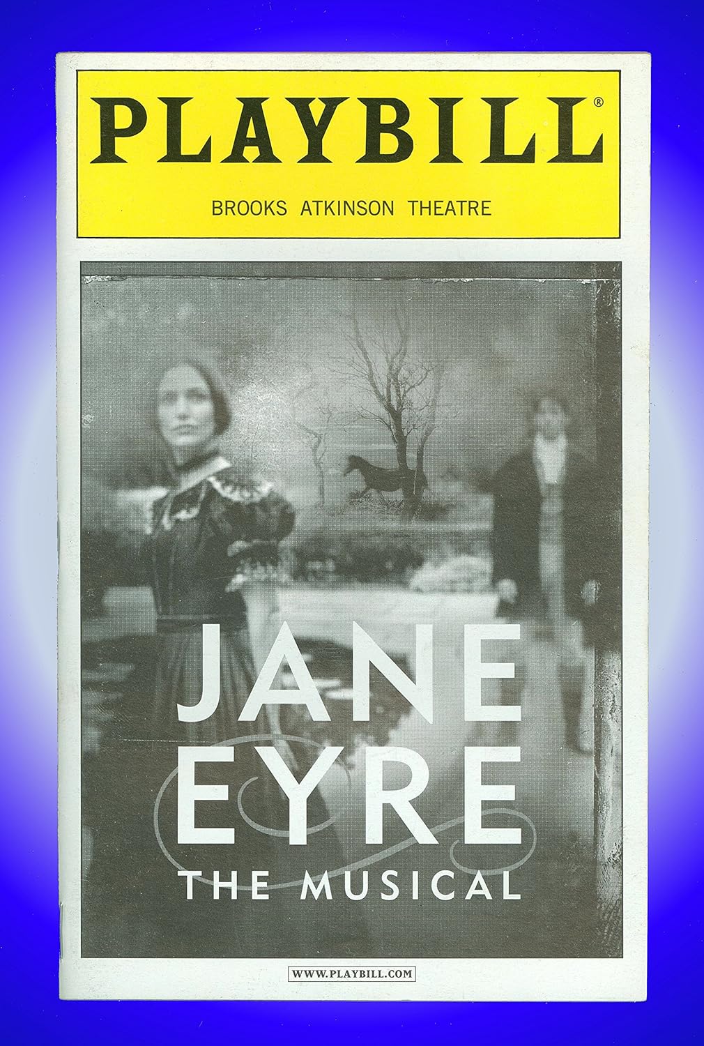 Jane Eyre, Broadway Playbill + James Barbour, Marla Schaffe, Mary Stout ...