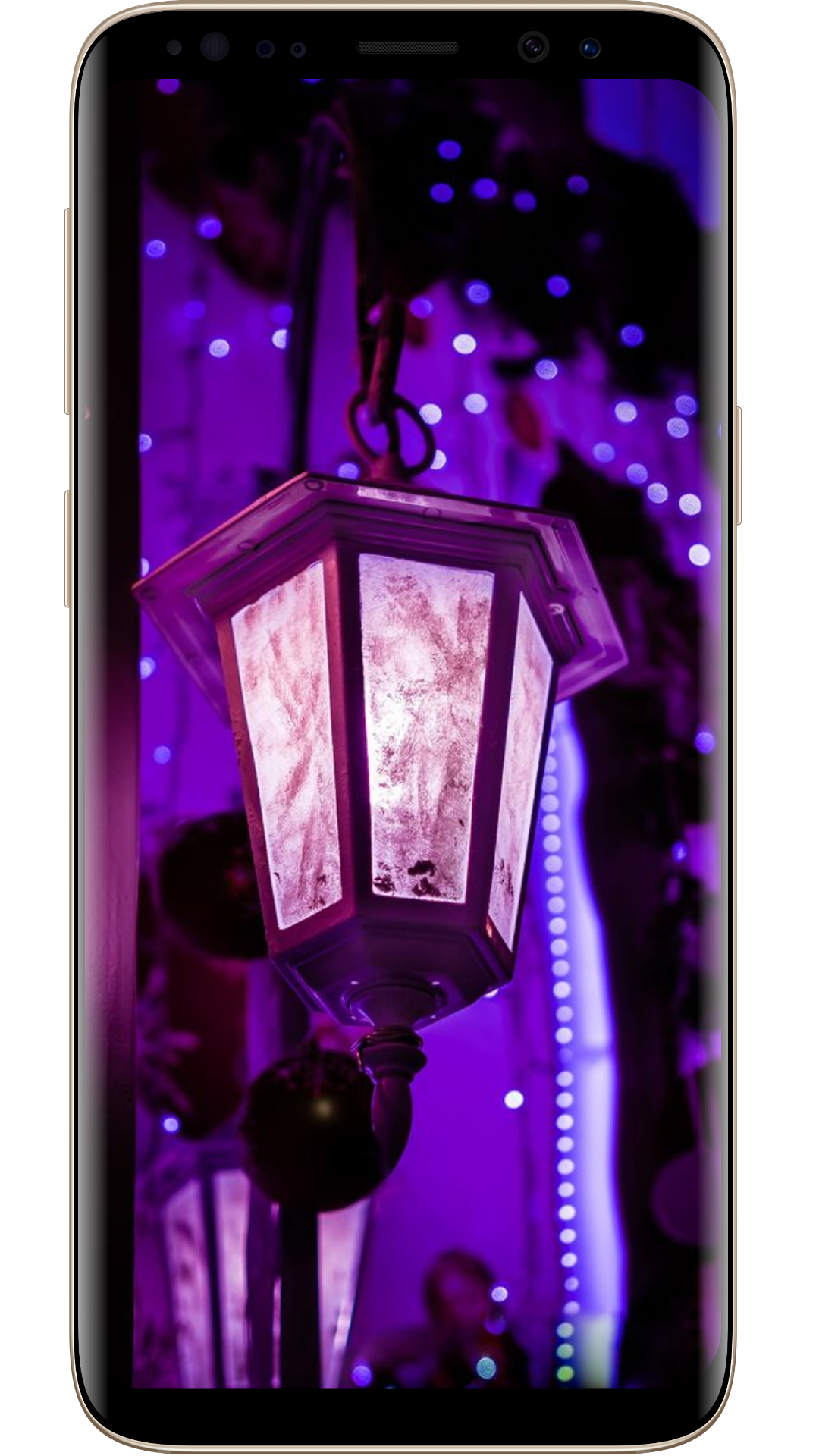 Purple wallpaper HD - Wallpaper HD : Purple wallpaper and backgrounds ...