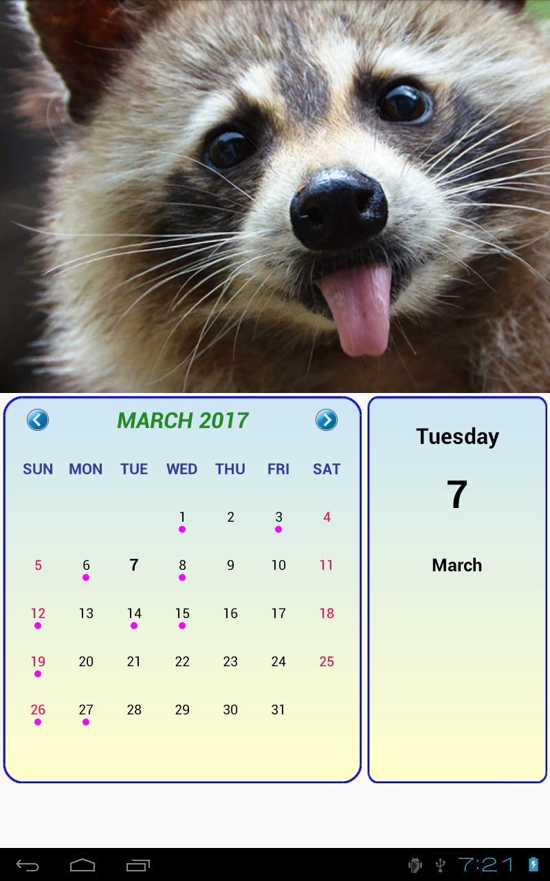 Calendar My Raccoon - Aplicativo na Amazon Appstore