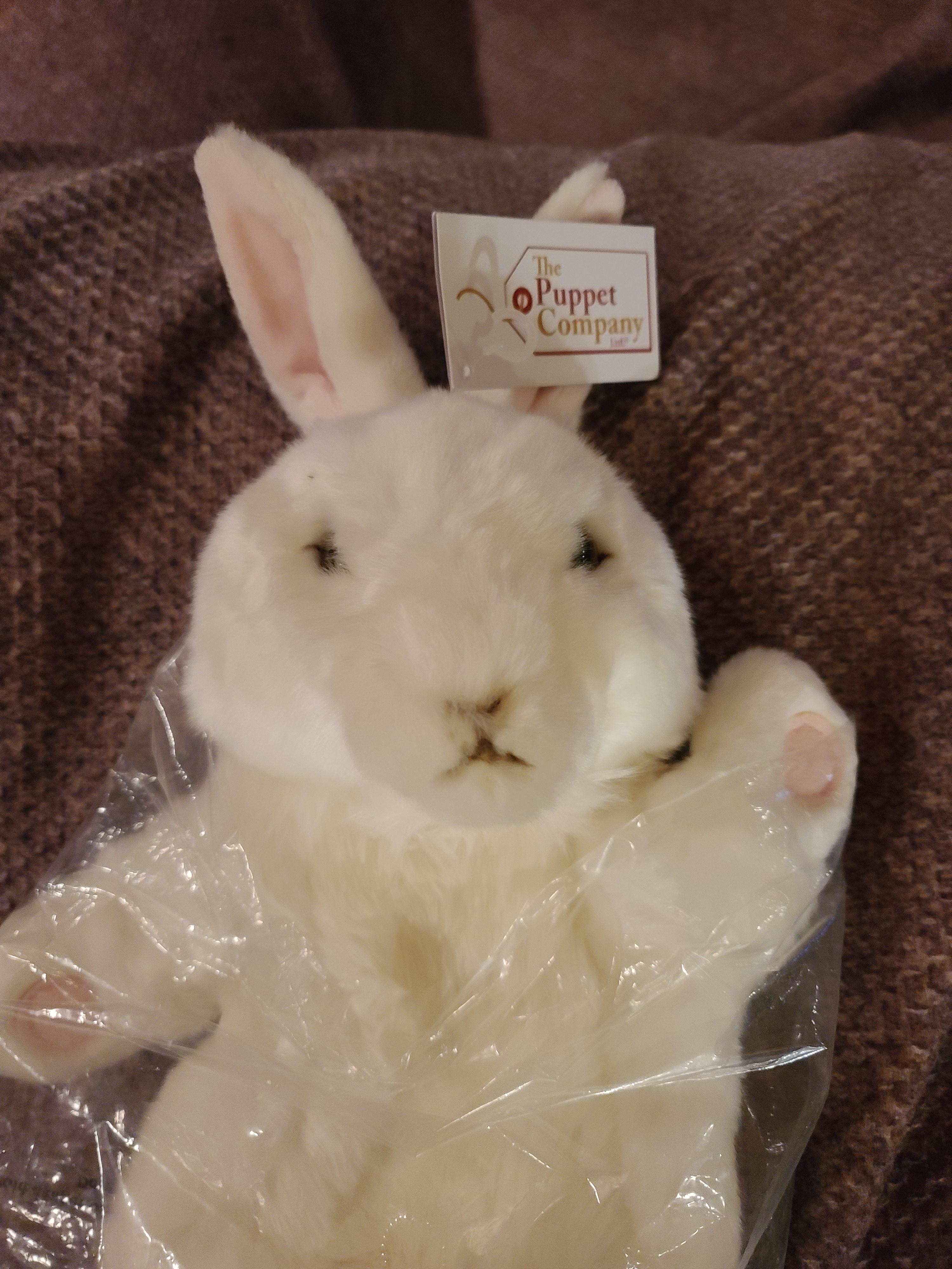 Amazon.com: The Puppet Company Long-Sleeves White Rabbit Hand Puppet ...