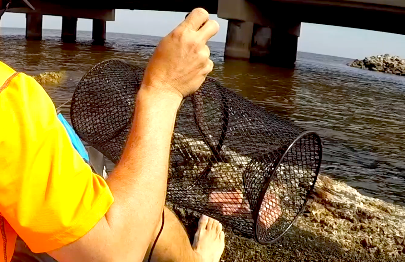 Watch Frabill Crawfish Trap | Fishing Bait Trap for Perch on Amazon Live