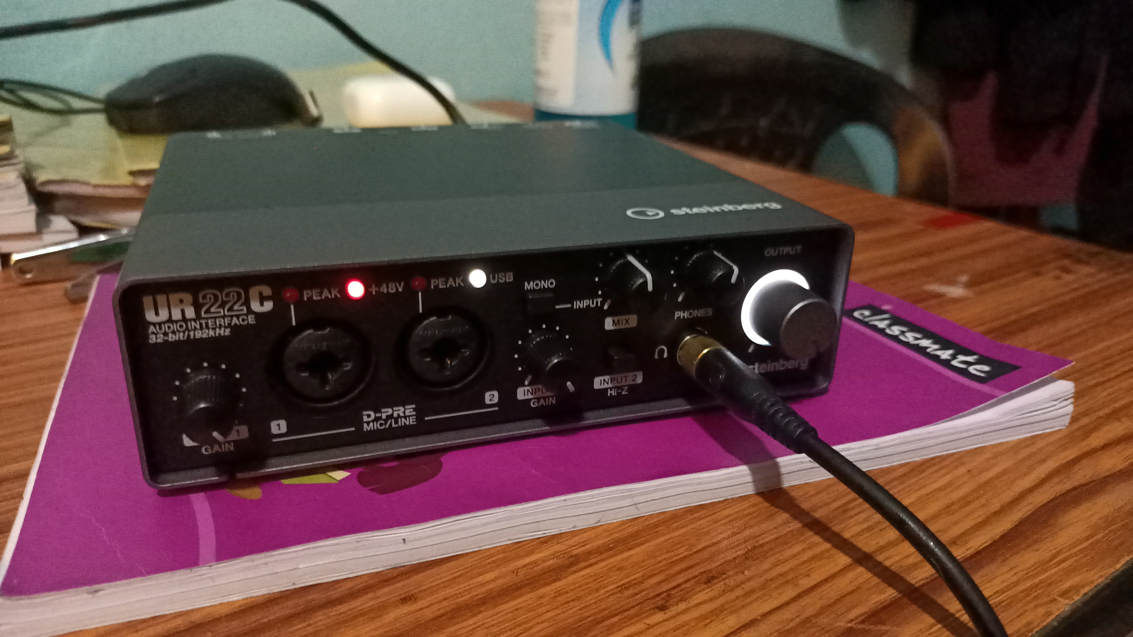 Steinberg Audio Interface (UR22C) : Amazon.in: Music