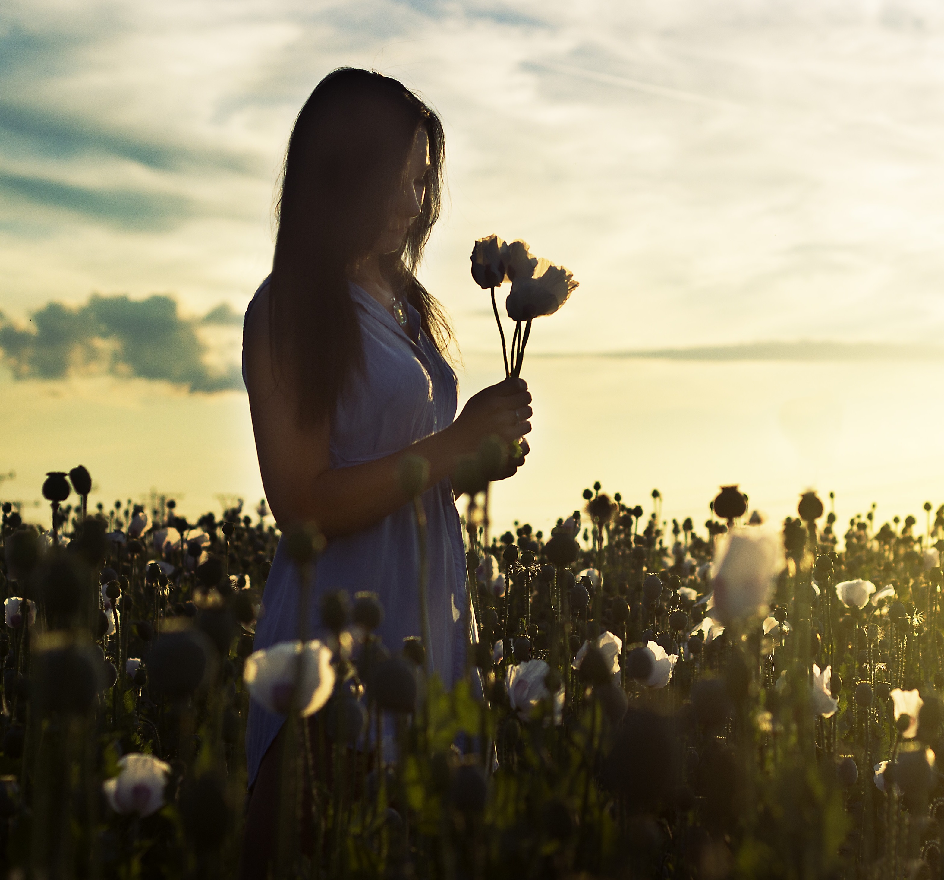 Amazon.com: Jessica Troyer: books, biography, latest update