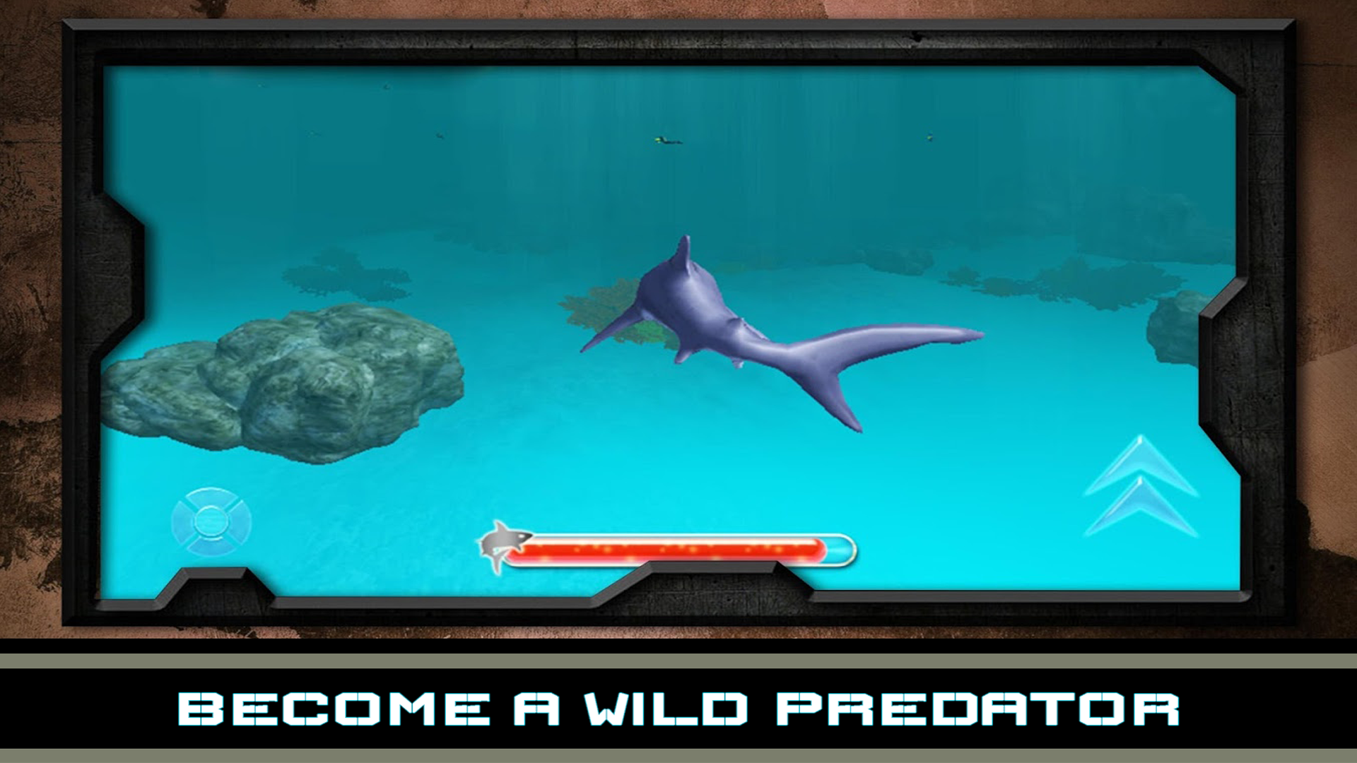 Angry Shark - Wild Attack - App on Amazon Appstore