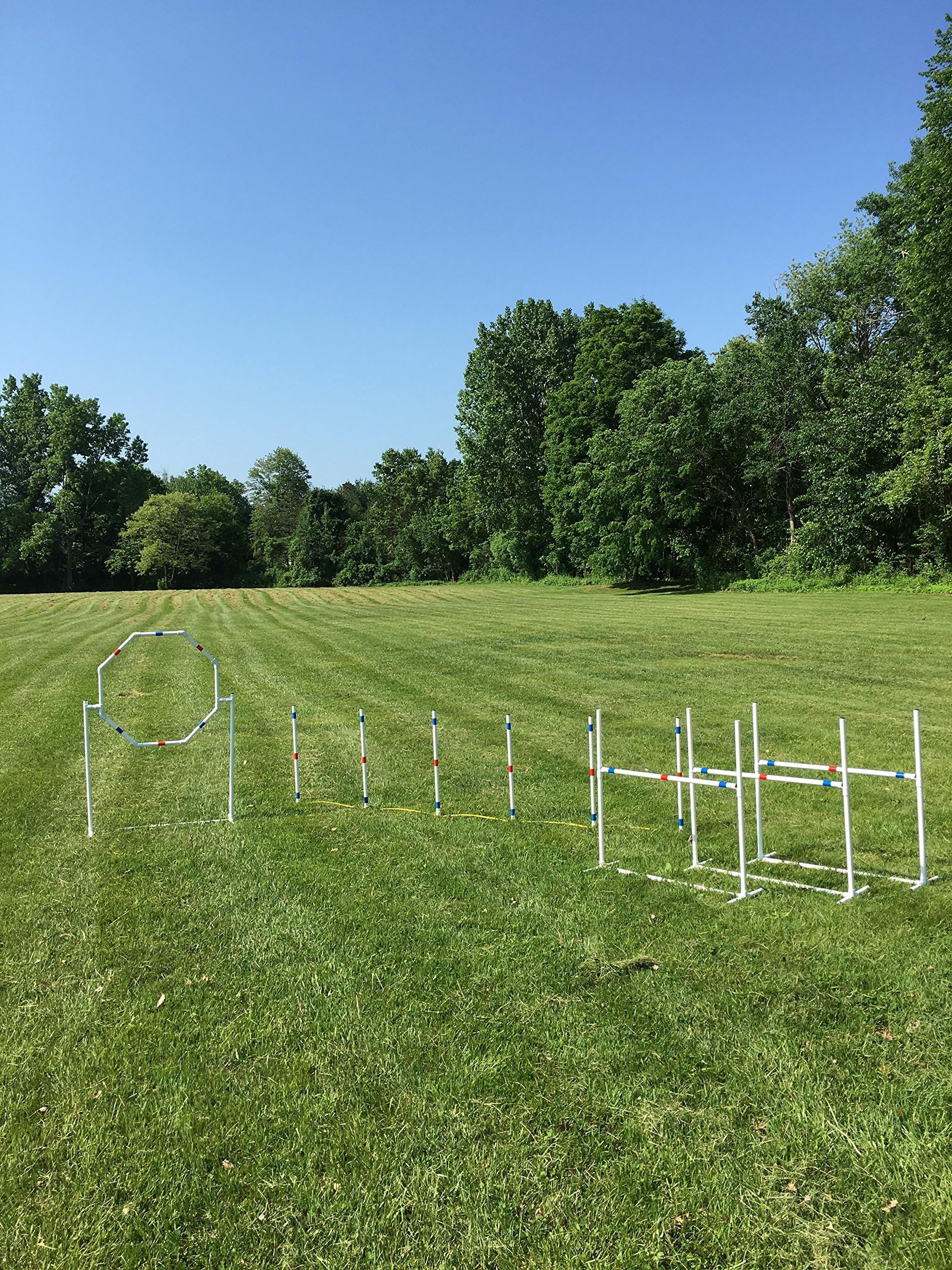 Amazon.com : Dog Agility Equipment Deluxe Beginner Set, 3 Bar Jumps, 6 ...